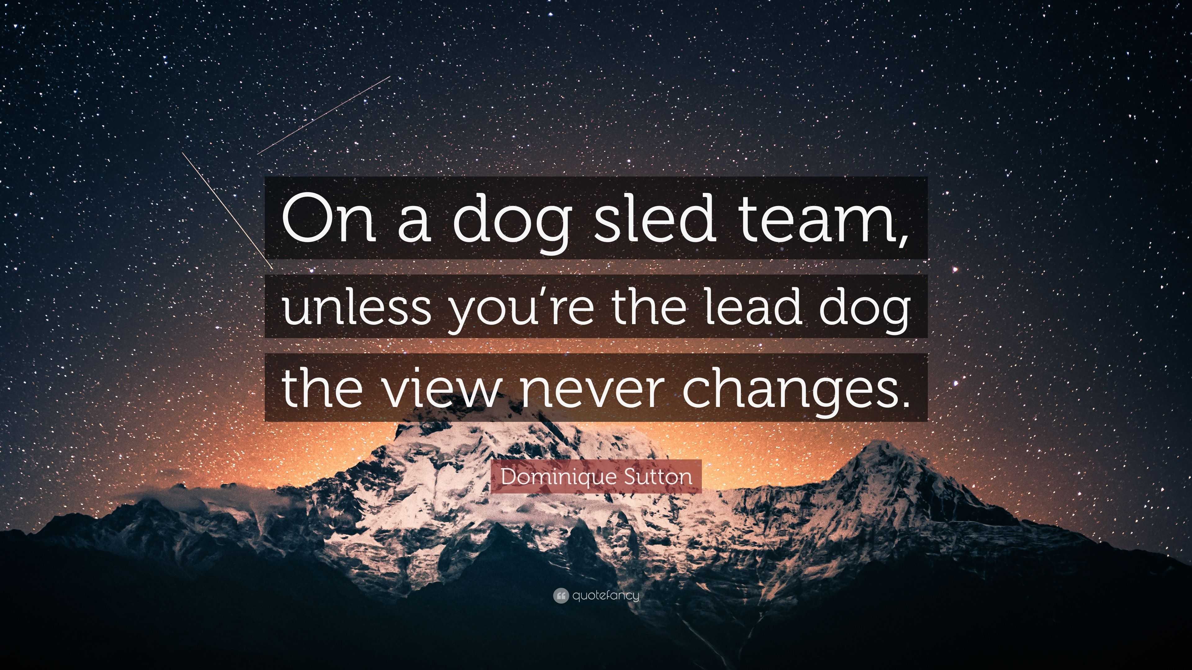 Dominique Sutton Quote: “On a dog sled team, unless you’re the lead dog ...