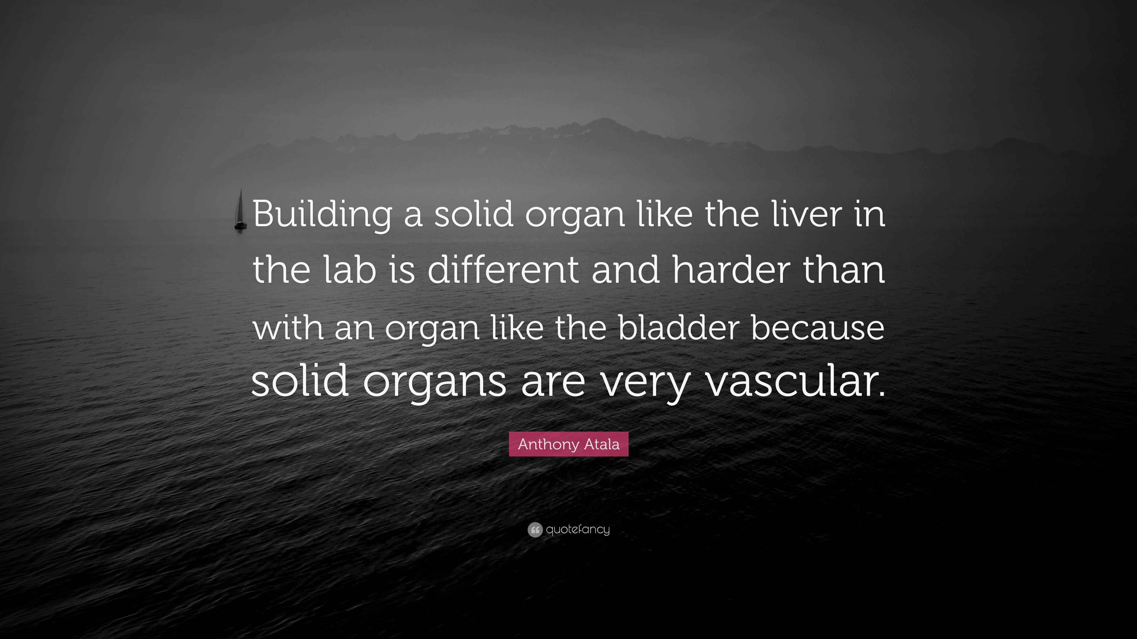 Anthony Atala Quote: “Building a solid organ like the liver in the lab ...