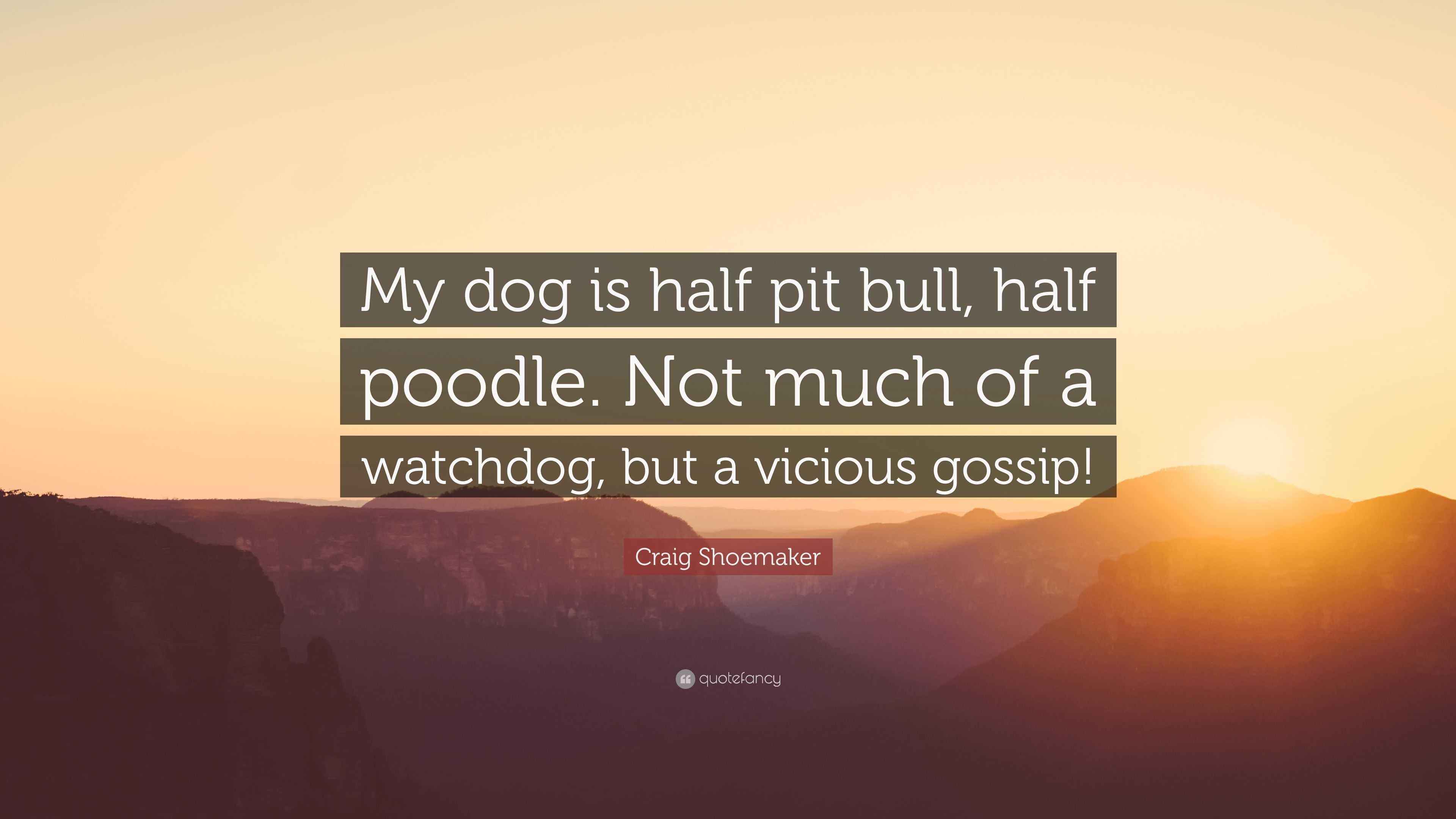 Craig Shoemaker Quote: “My dog is half pit bull, half poodle. Not much ...