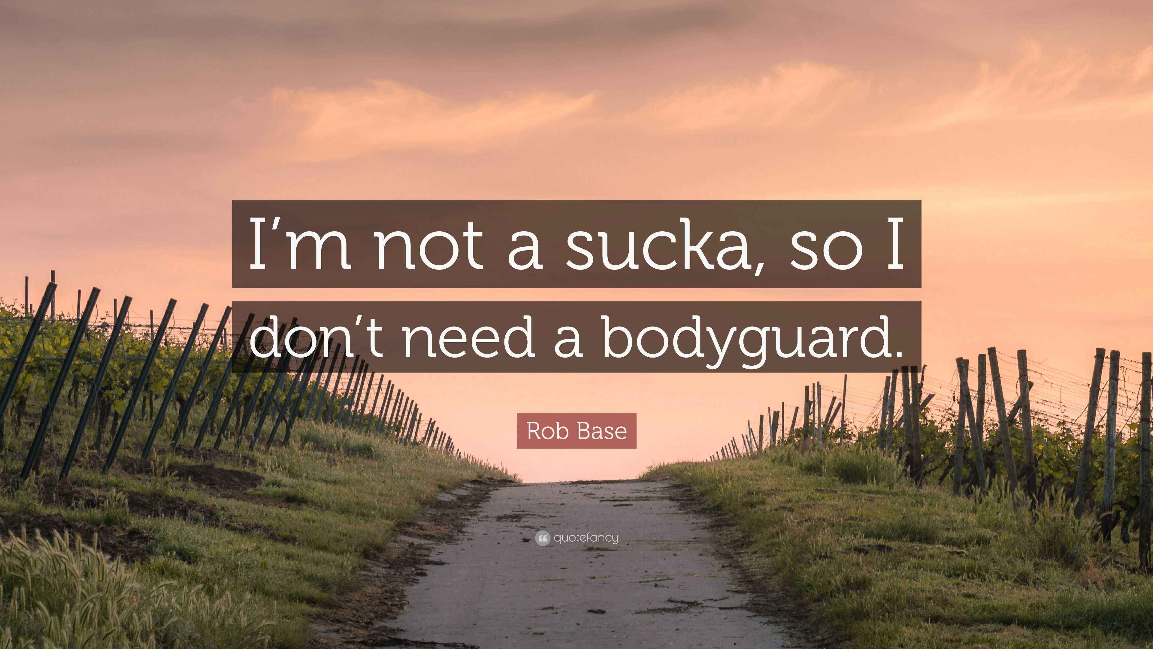 Rob Base Quote: “I’m not a sucka, so I don’t need a bodyguard.”