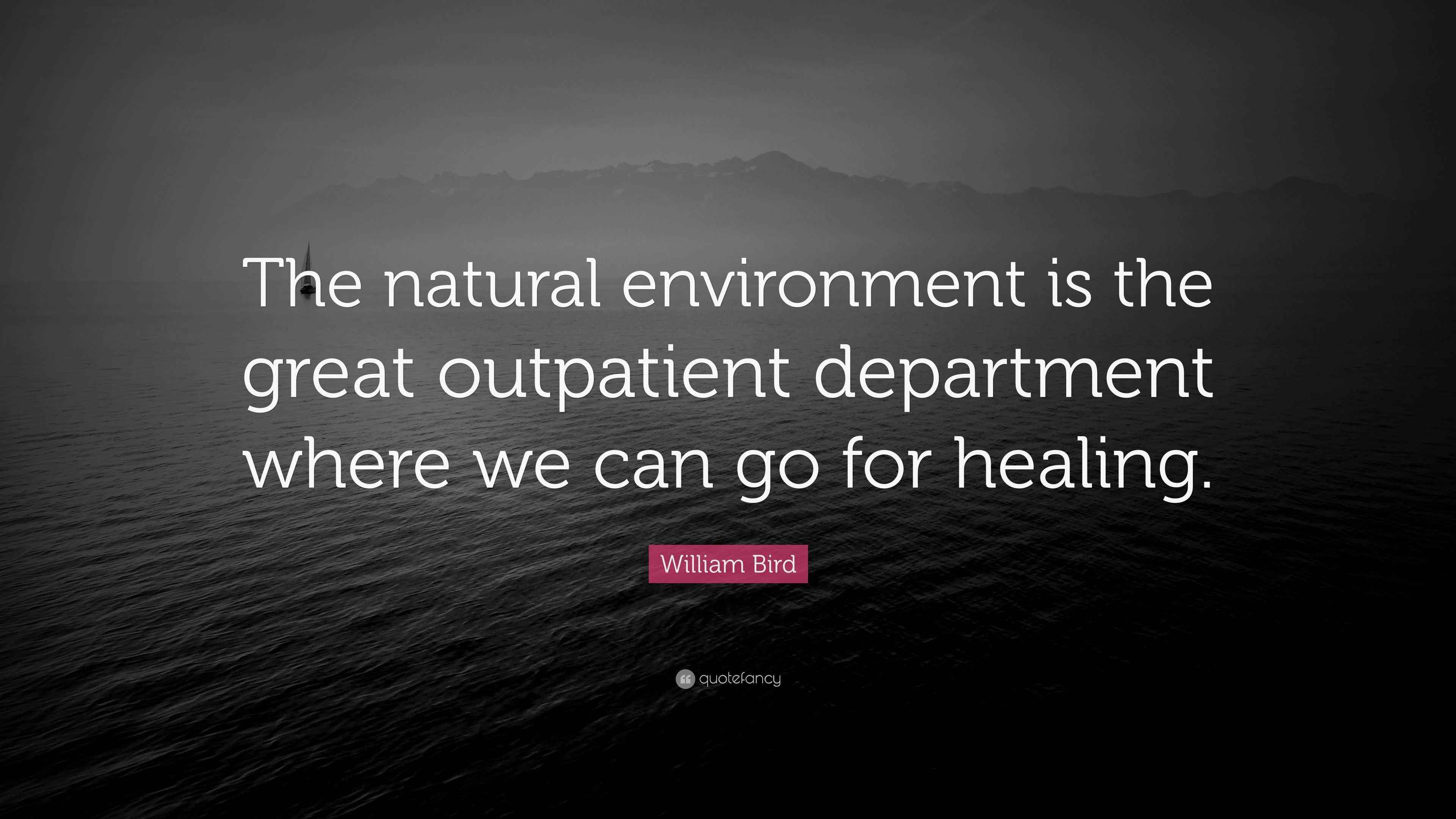 William Bird Quote: “The natural environment is the great outpatient ...