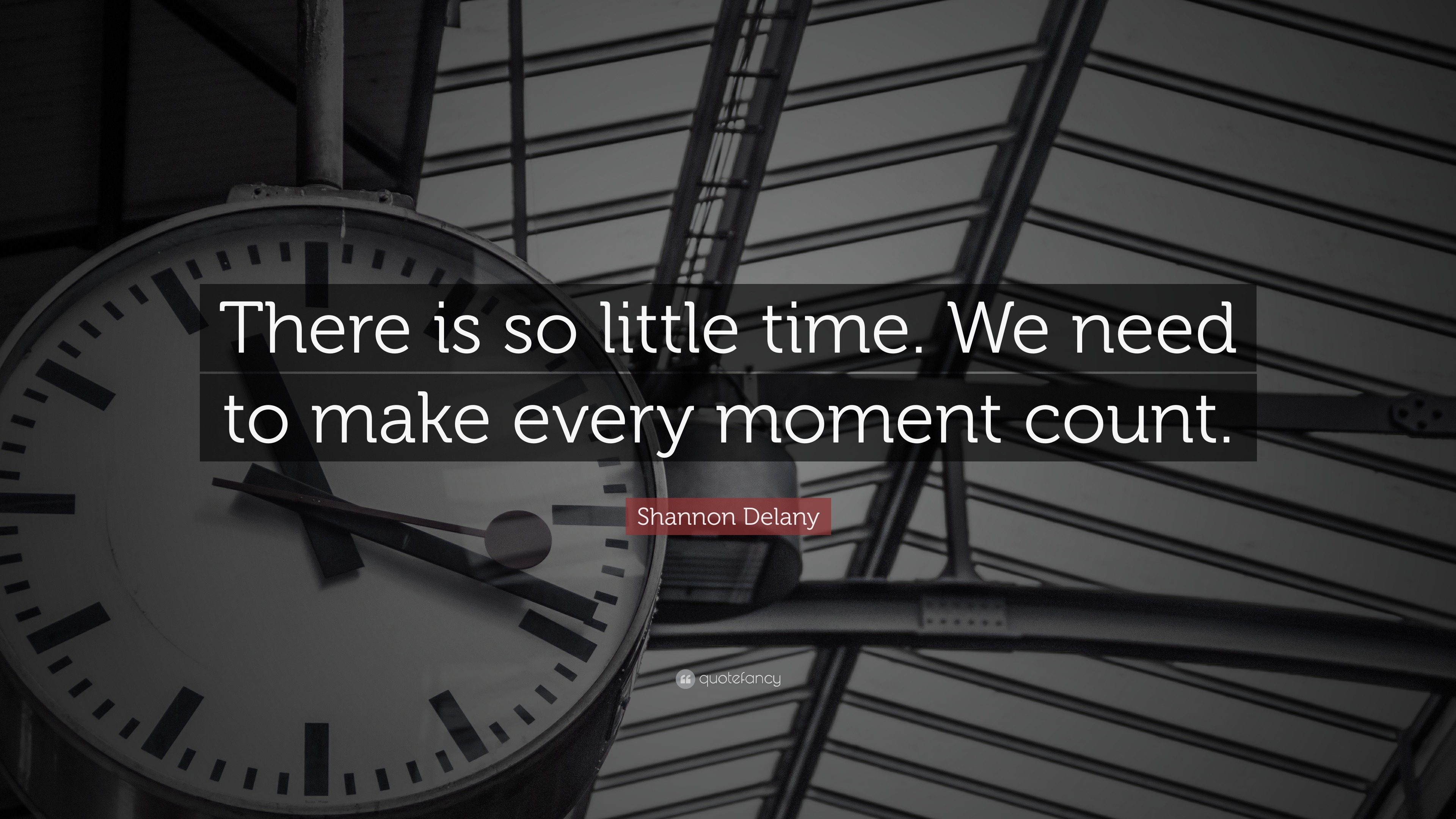 Shannon Delany Quote: “There is so little time. We need to make every ...
