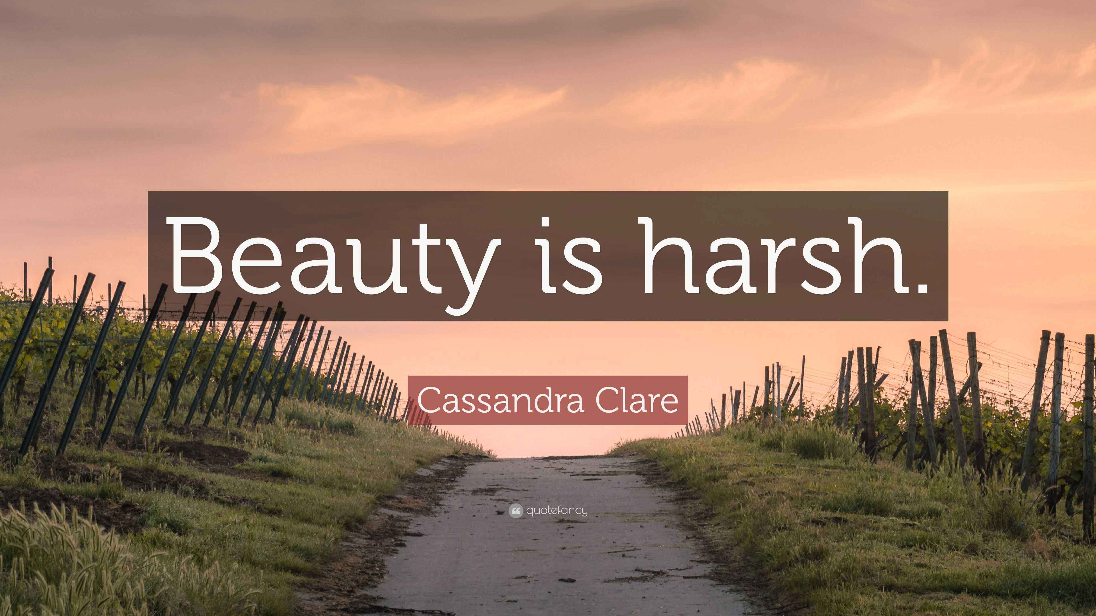 Cassandra Clare Quote: “Beauty is harsh.”