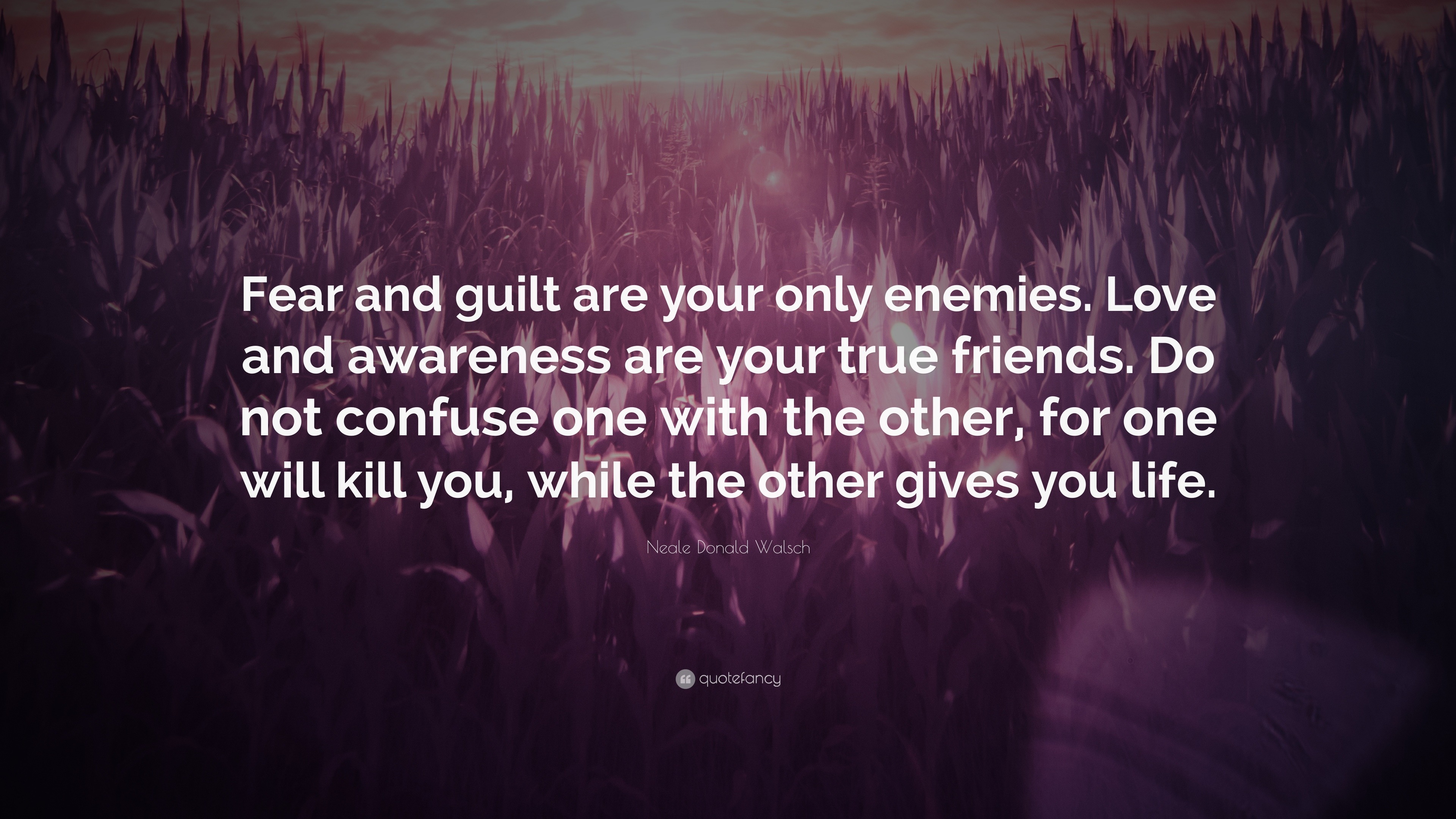 Neale Donald Walsch Quote: “Fear and guilt are your only enemies. Love ...