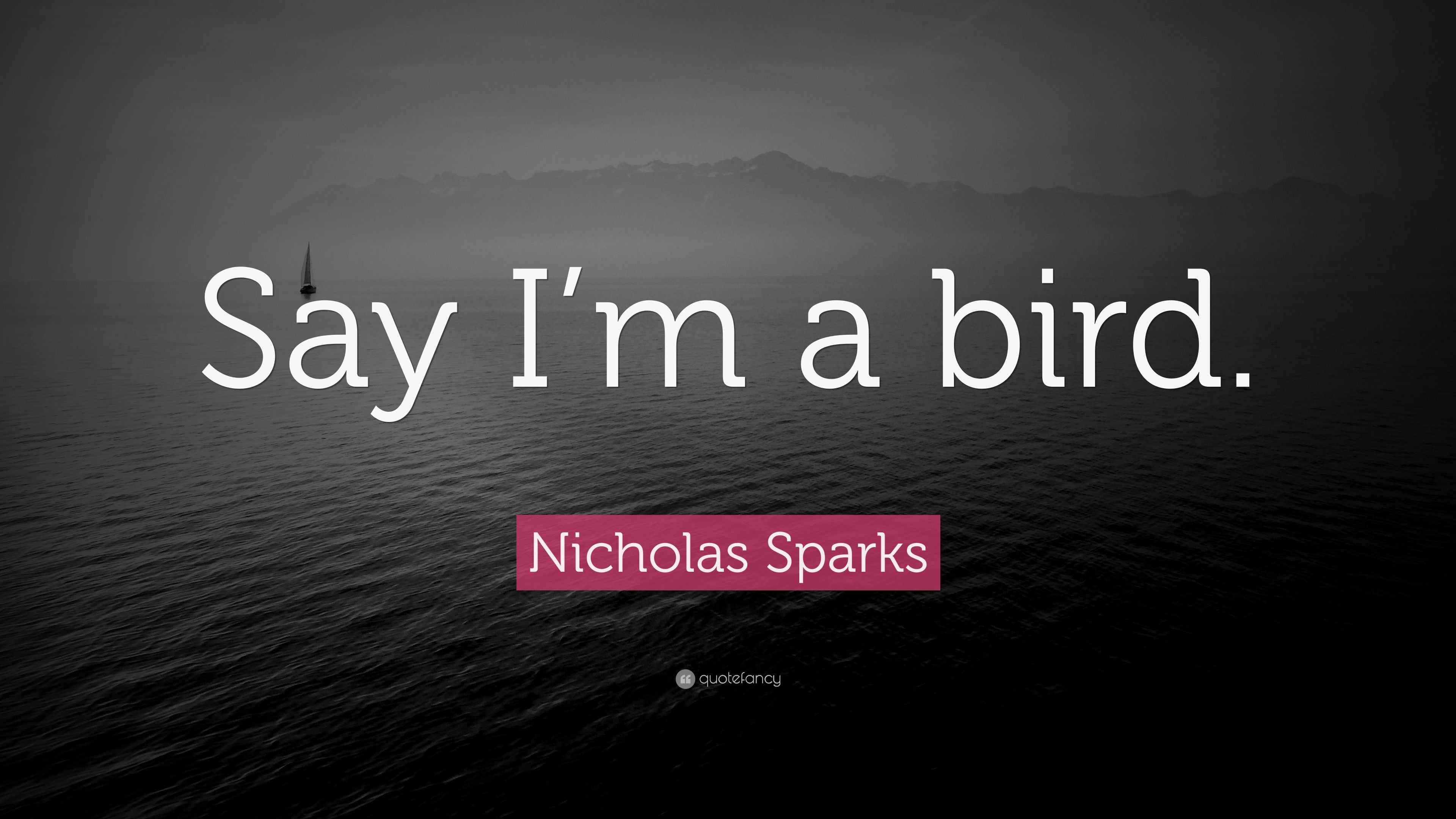Nicholas Sparks Quote: “Say I’m a bird.”