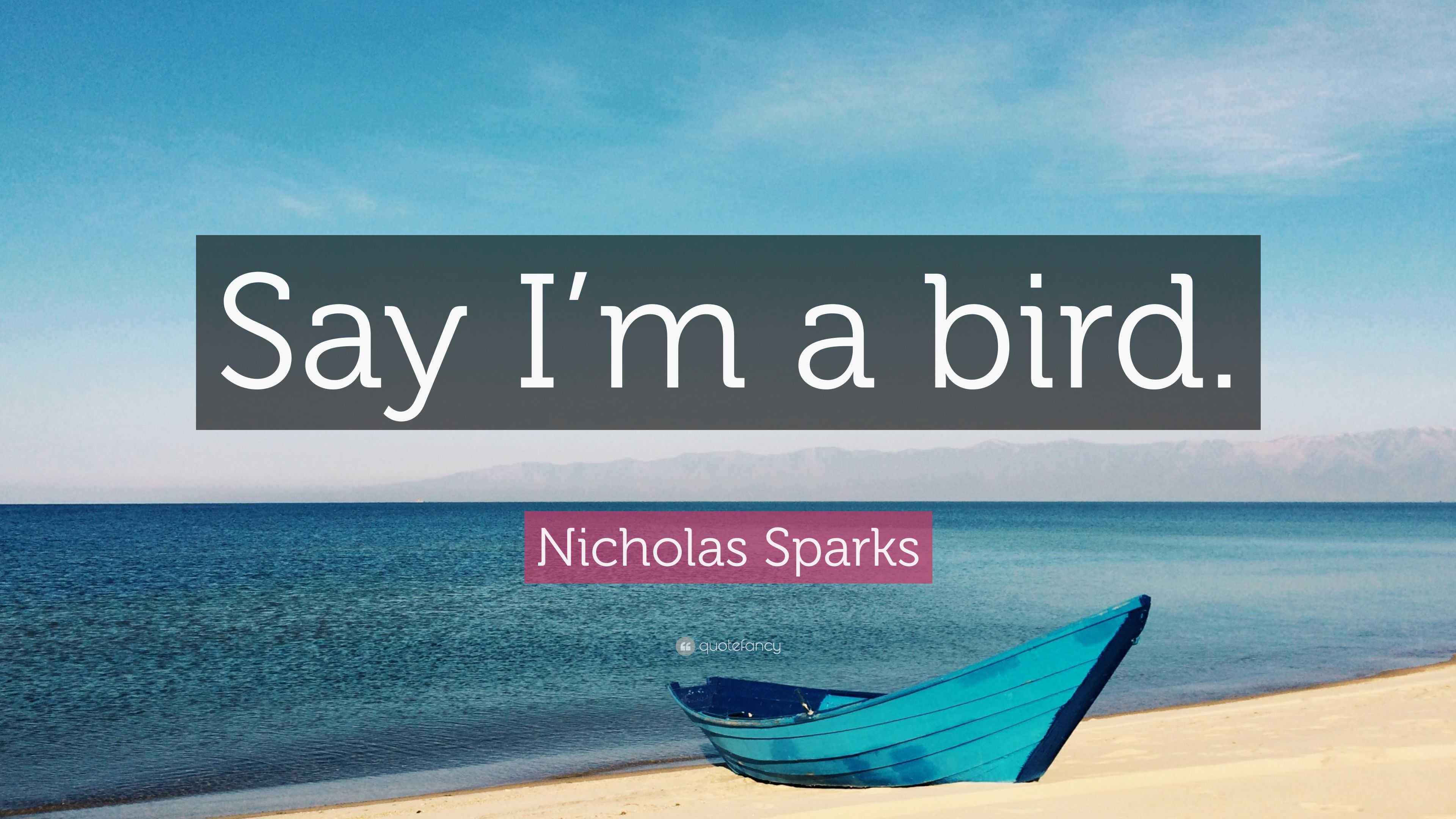 Nicholas Sparks Quote: “Say I’m a bird.”