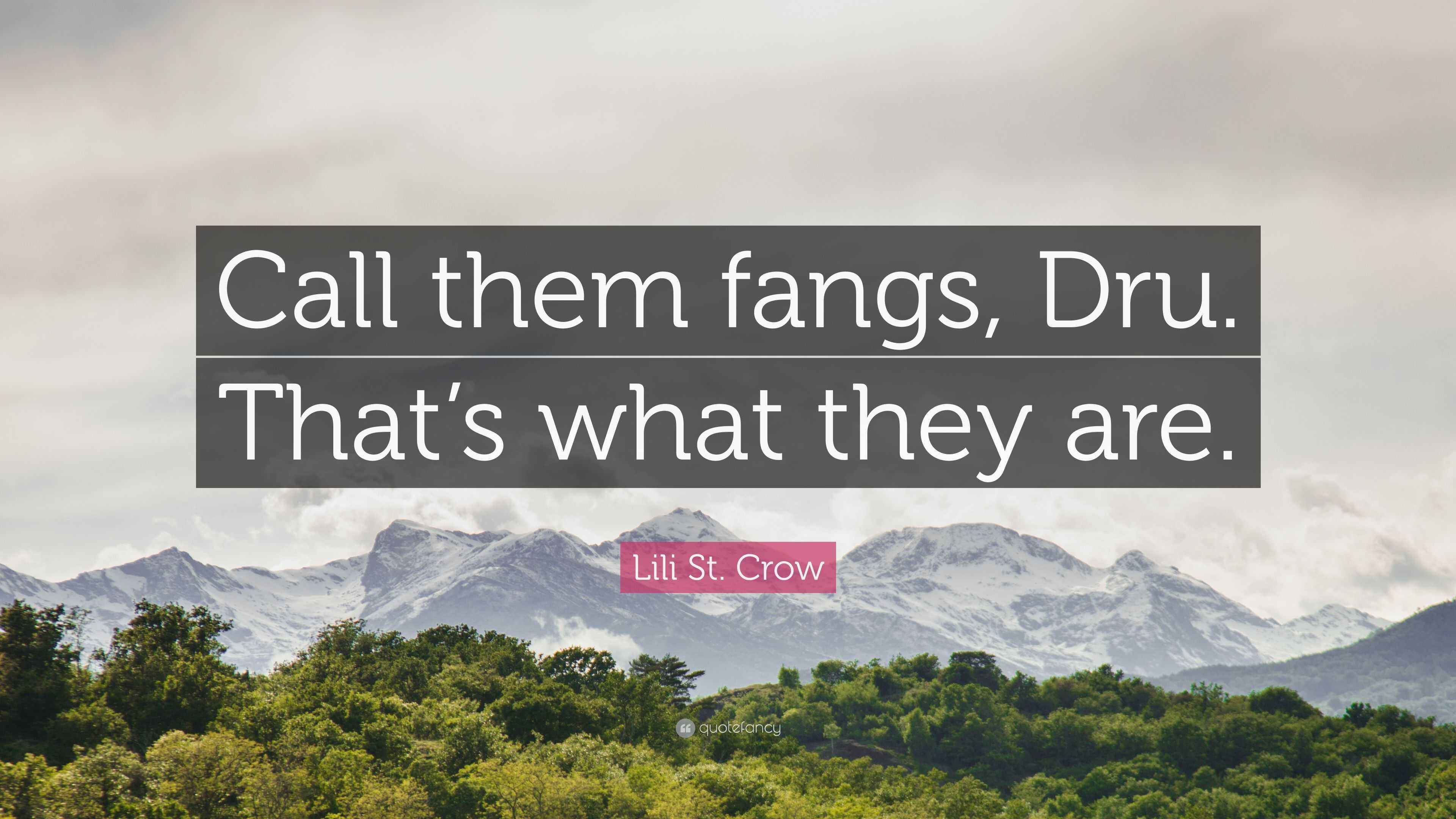 Lili St. Crow Quote: “Call them fangs, Dru. That’s what they are.”