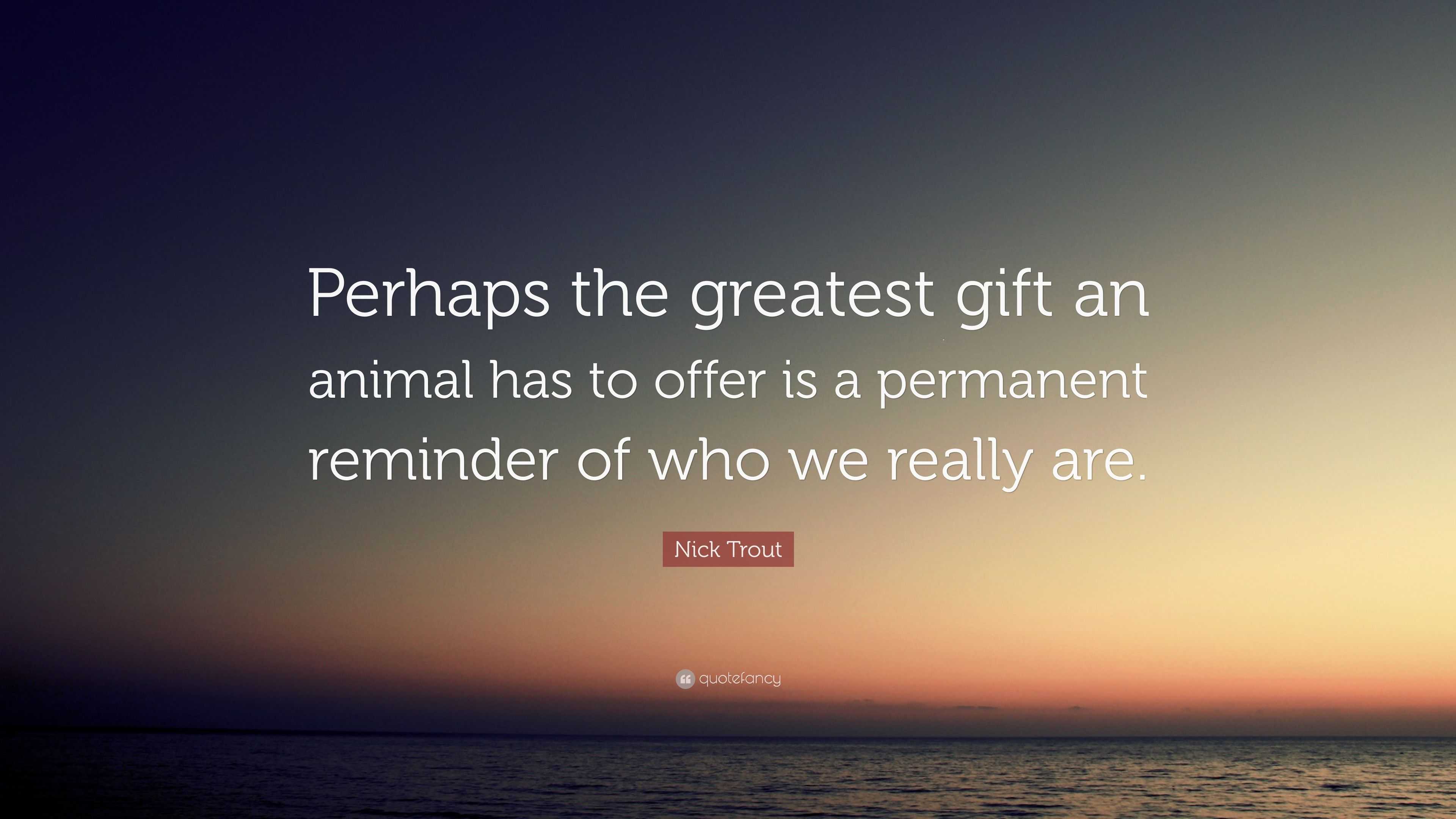 Nick Trout Quote: “Perhaps the greatest gift an animal has to offer is ...