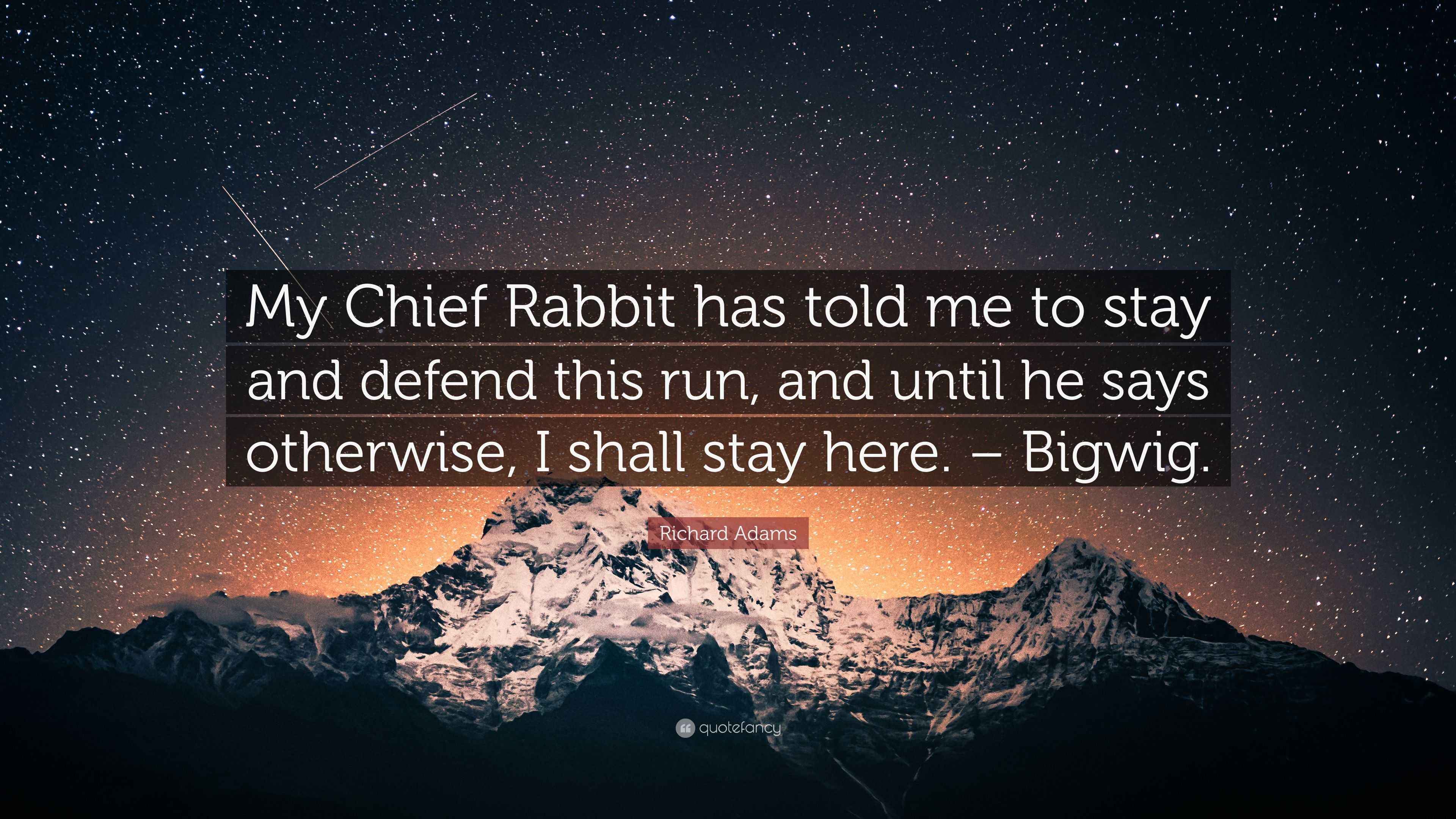Richard Adams Quote: “My Chief Rabbit has told me to stay and defend ...