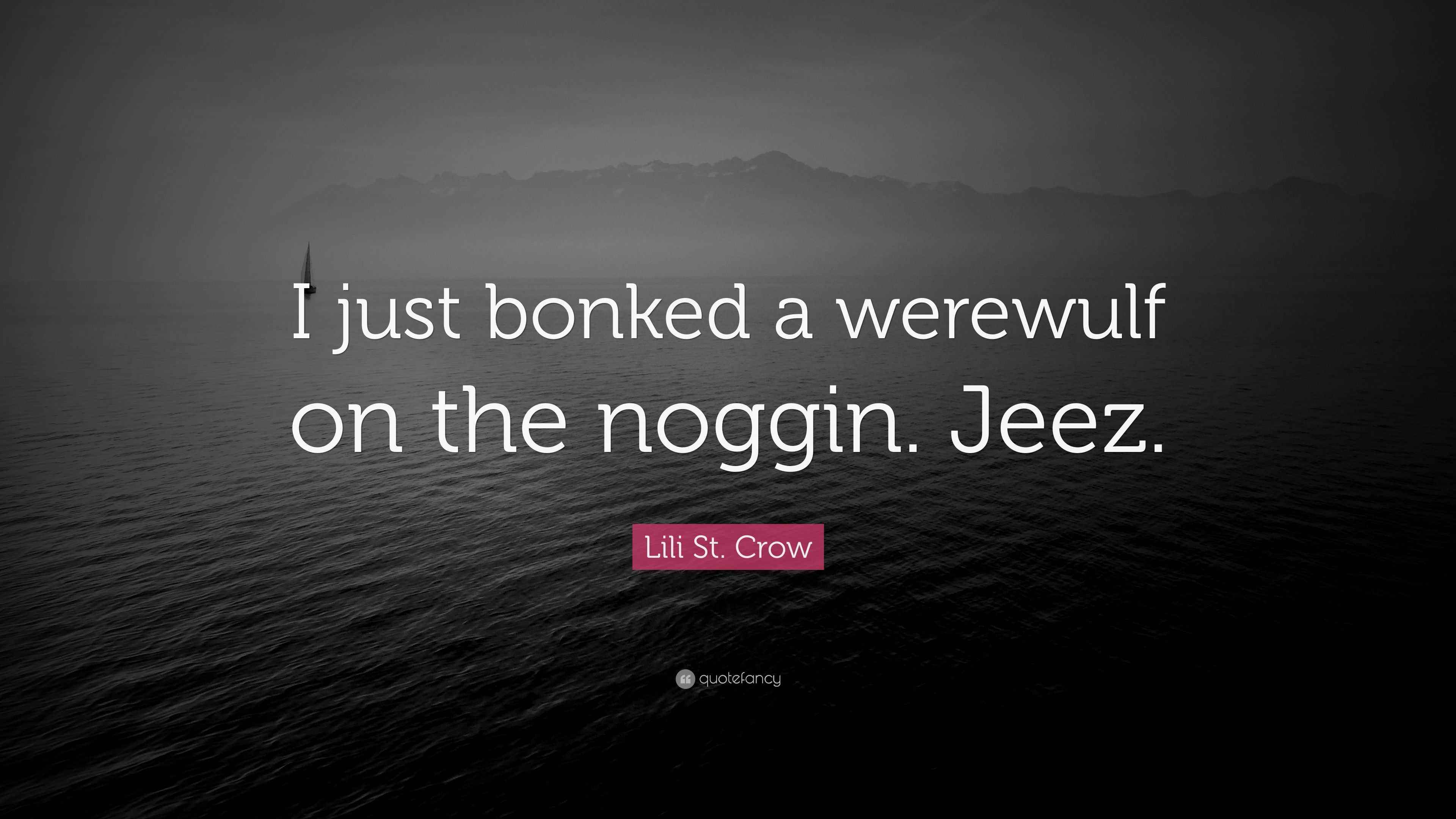 Lili St. Crow Quote: “I just bonked a werewulf on the noggin. Jeez.”