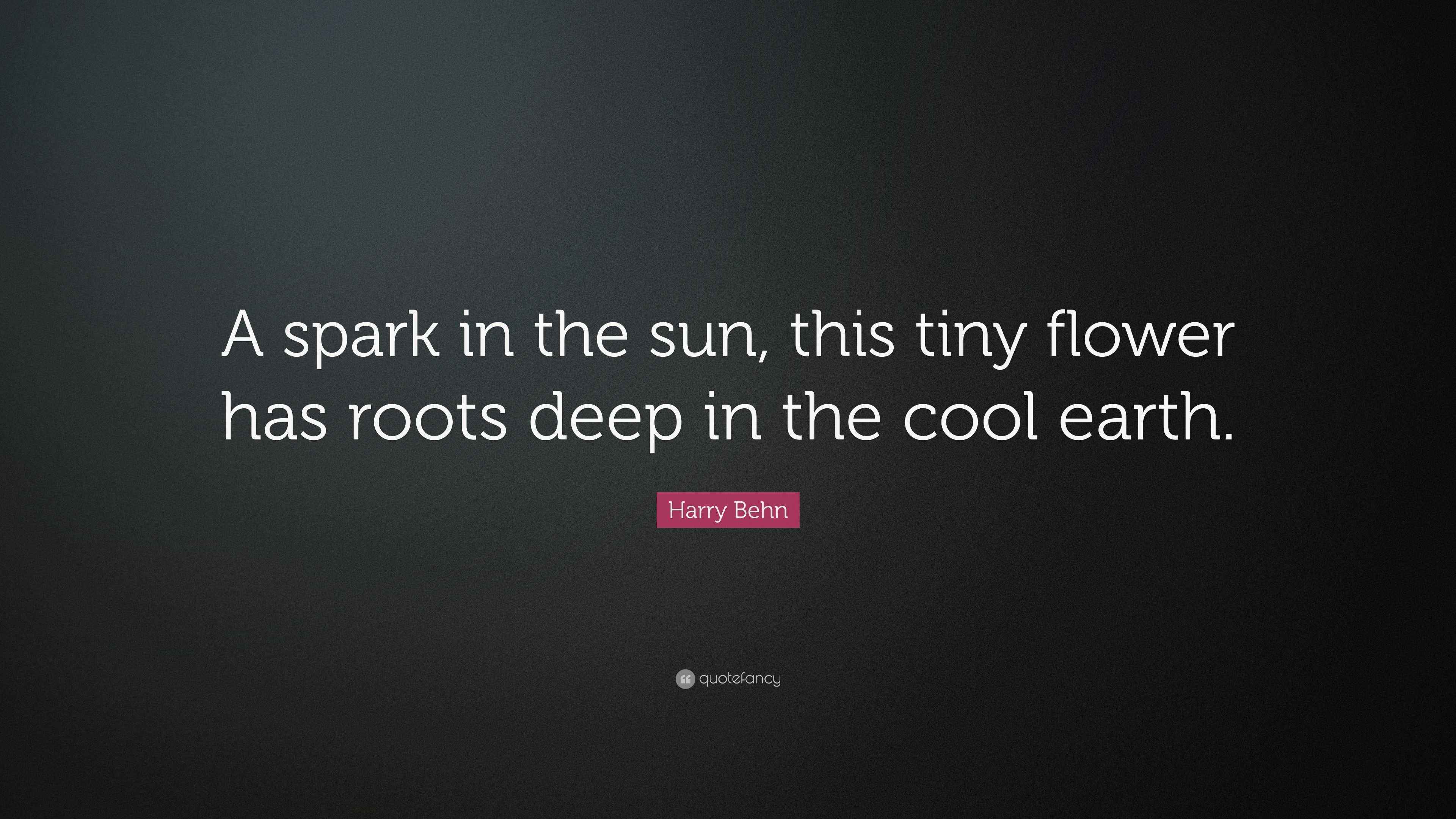 Harry Behn Quote: “A spark in the sun, this tiny flower has roots deep ...