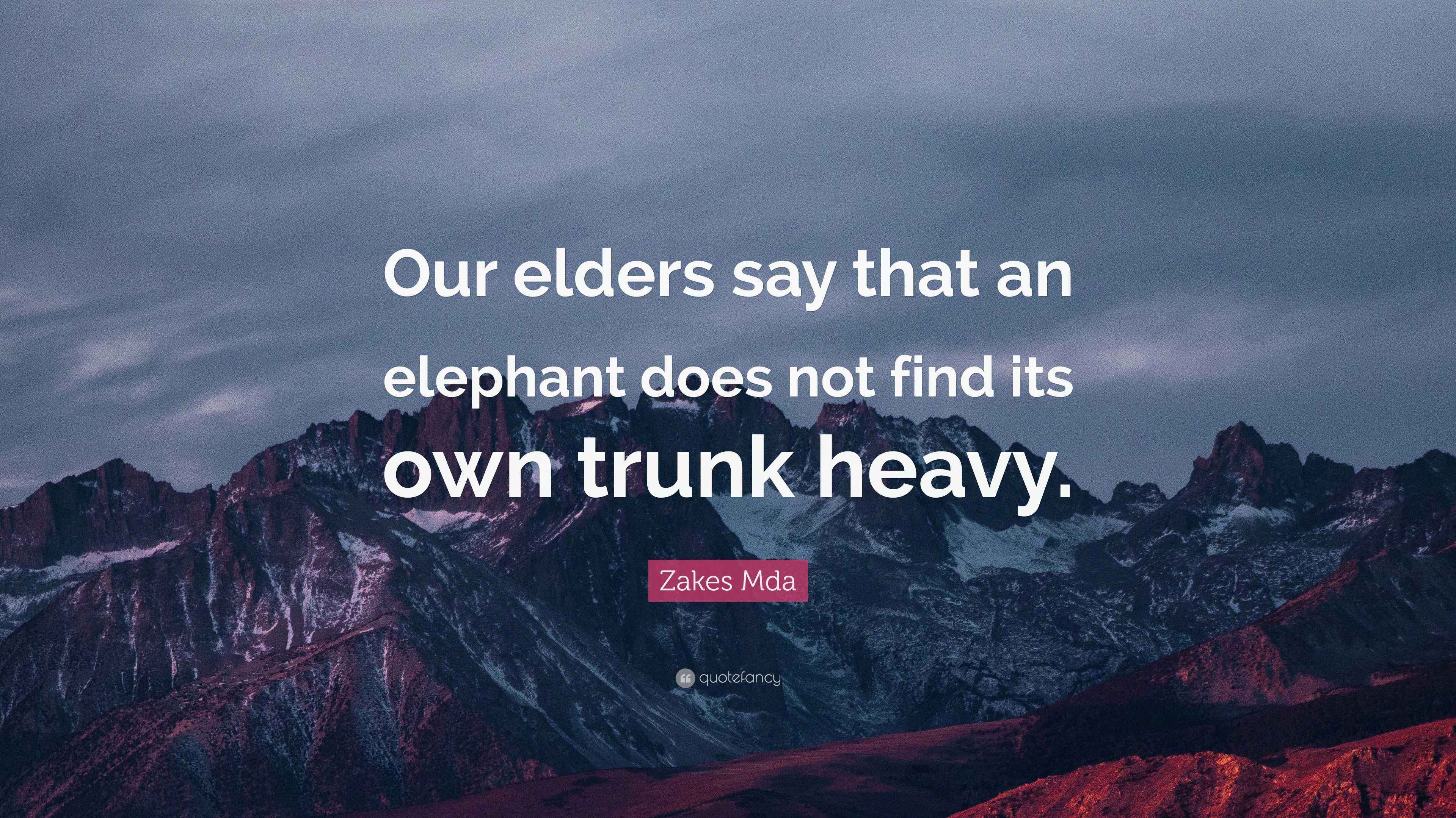 Zakes Mda Quote: “Our elders say that an elephant does not find its own ...