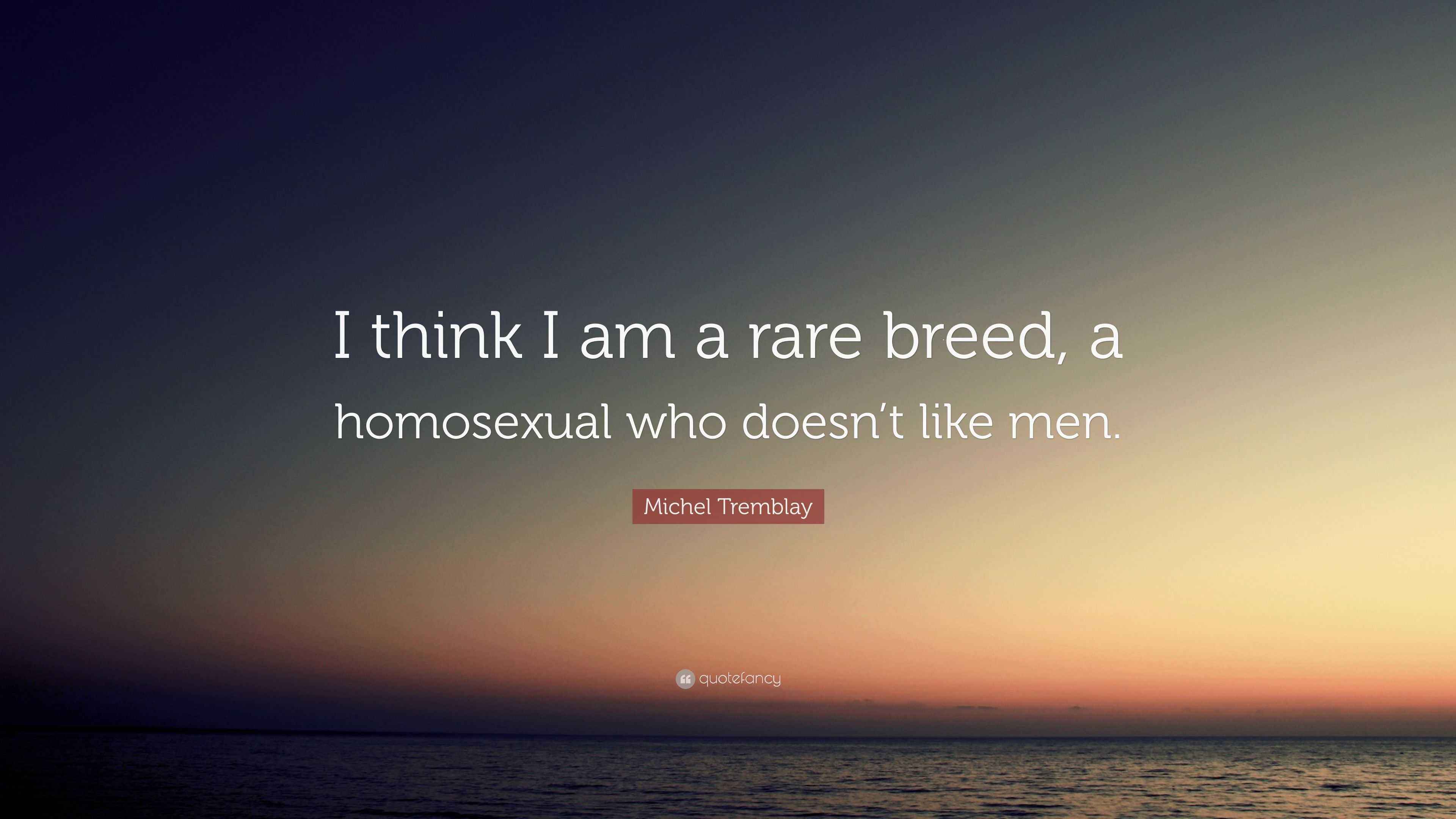 Michel Tremblay Quote: “I think I am a rare breed, a homosexual who ...