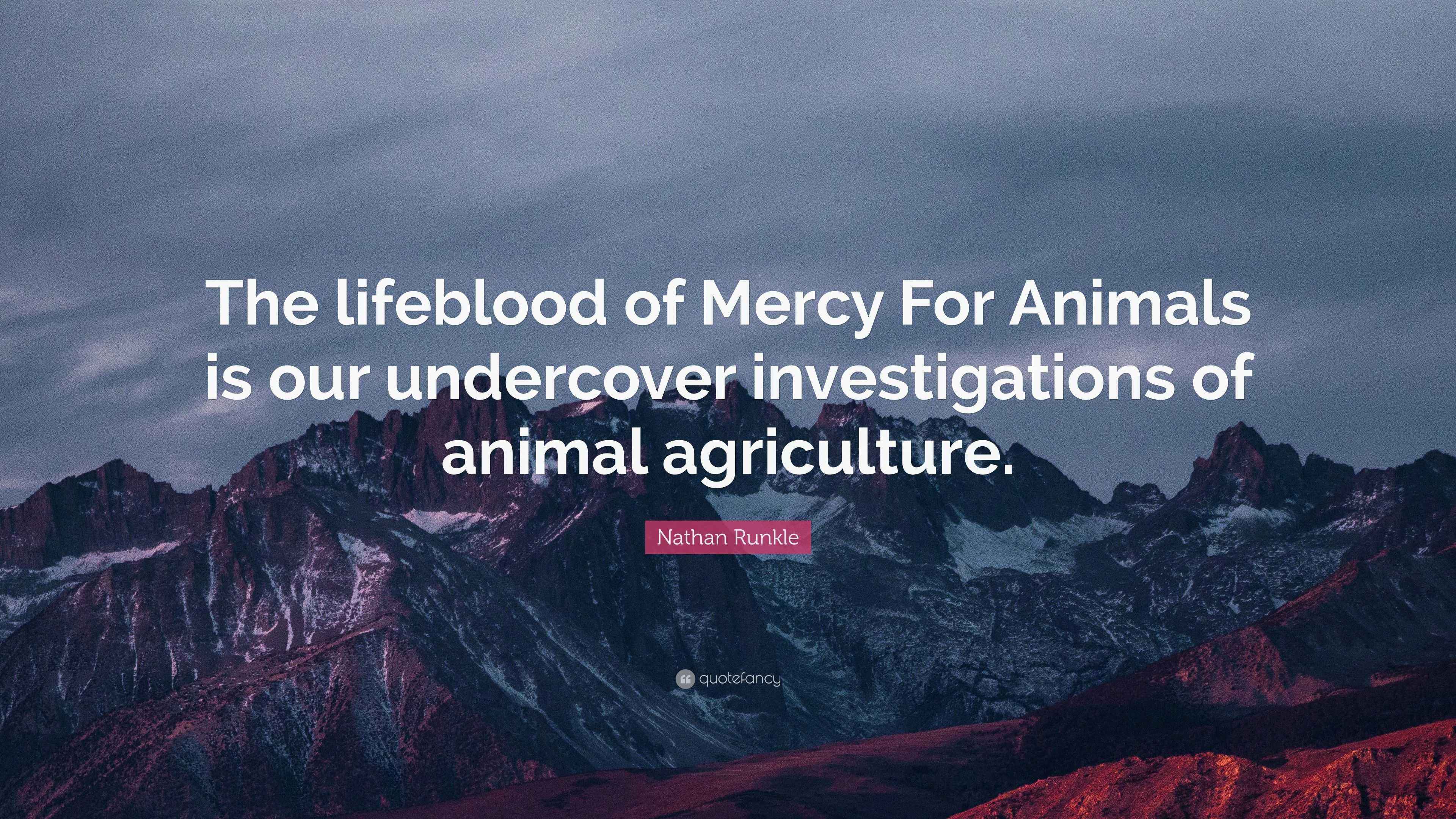 Nathan Runkle Quote: “The lifeblood of Mercy For Animals is our ...