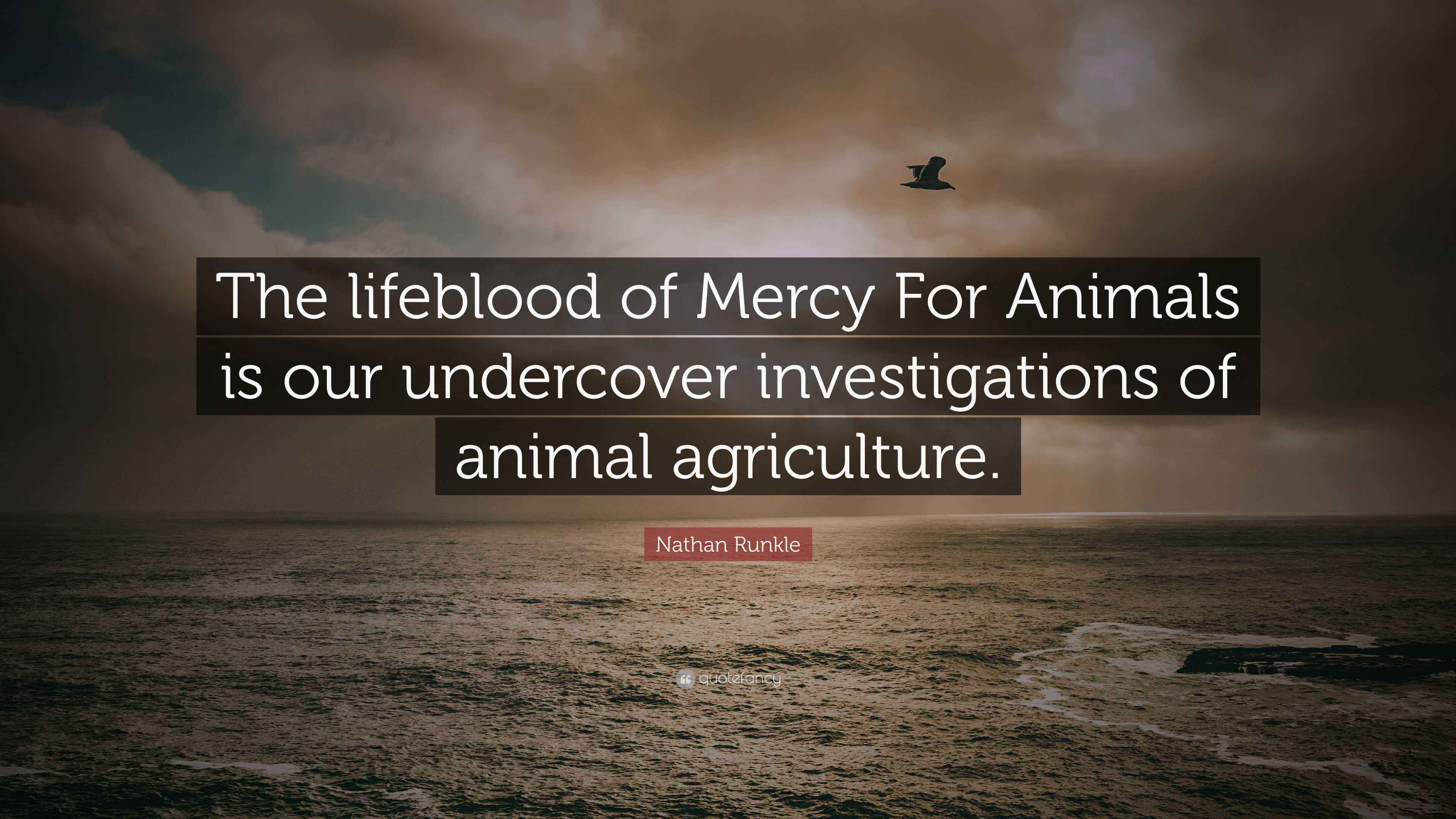 Nathan Runkle Quote: “The lifeblood of Mercy For Animals is our ...