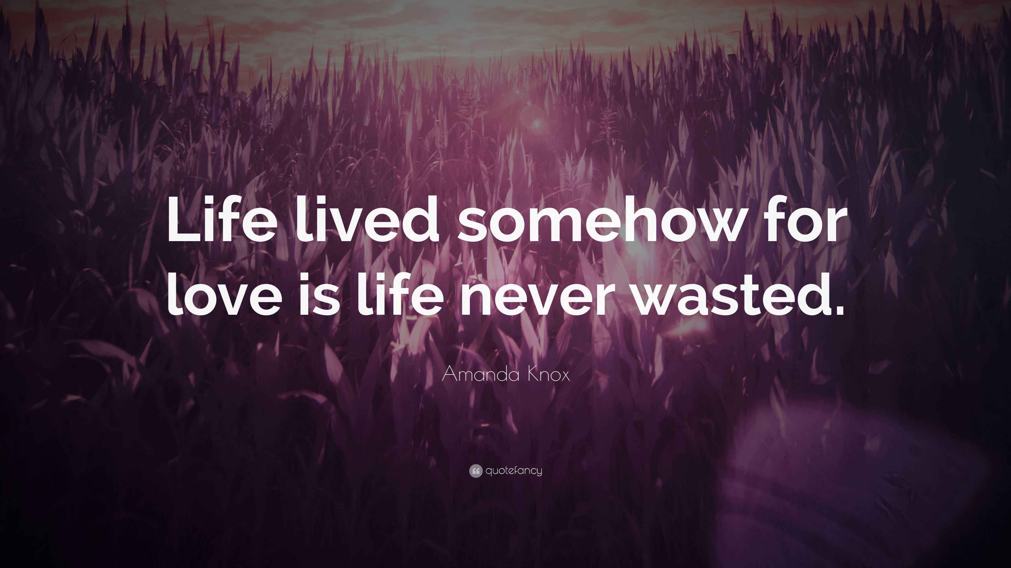 Amanda Knox Quote: “Life lived somehow for love is life never wasted.”
