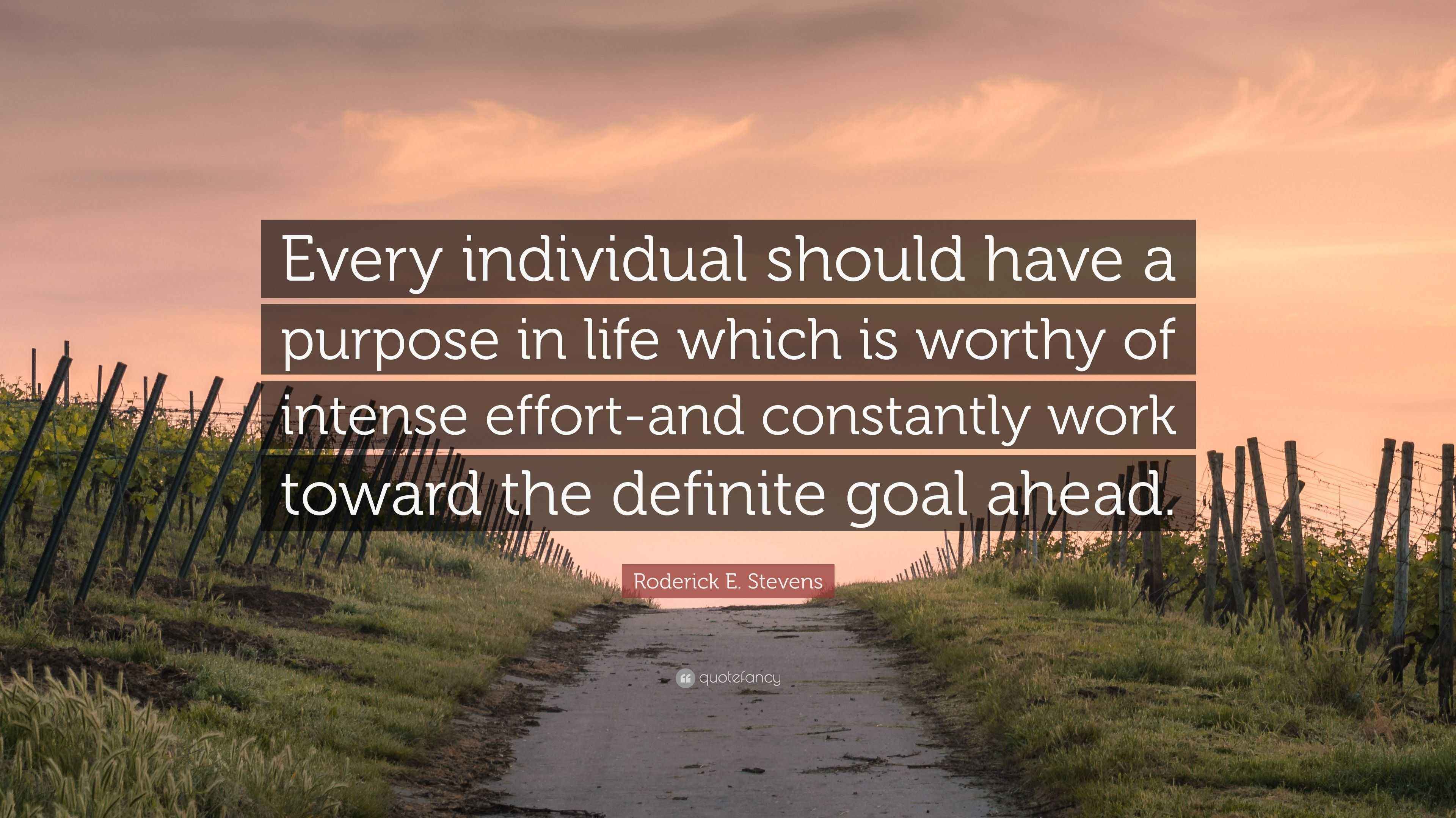 Roderick E. Stevens Quote: “Every individual should have a purpose in ...