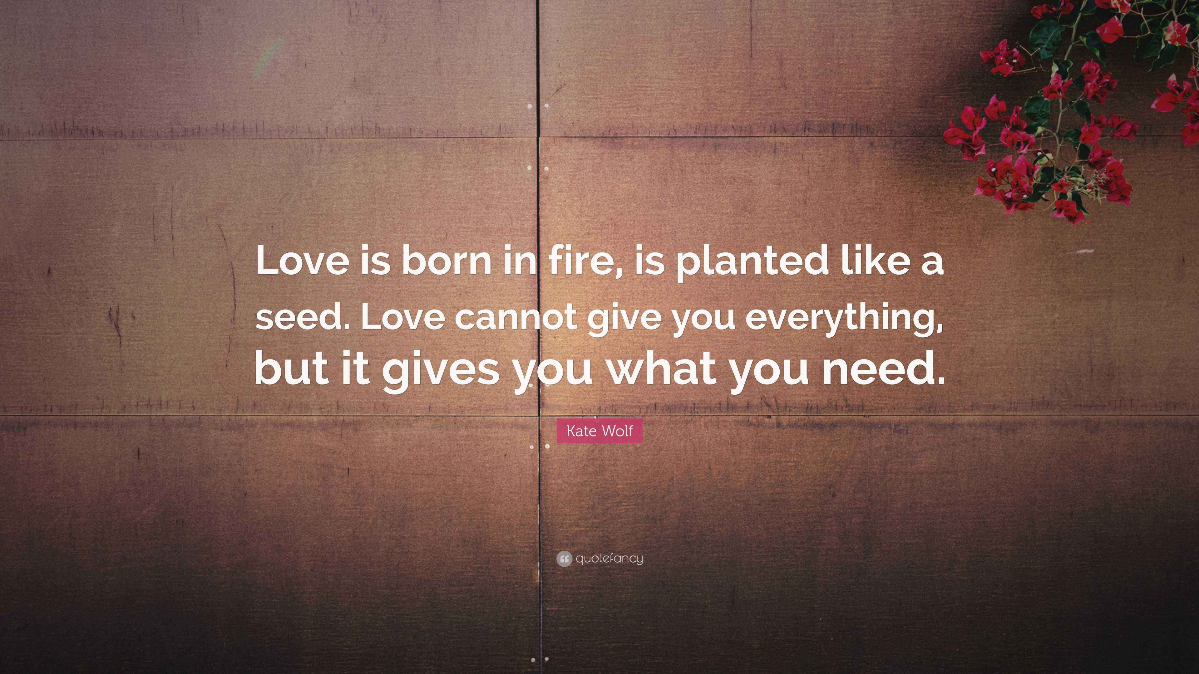 Kate Wolf Quote: “Love is born in fire, is planted like a seed. Love ...