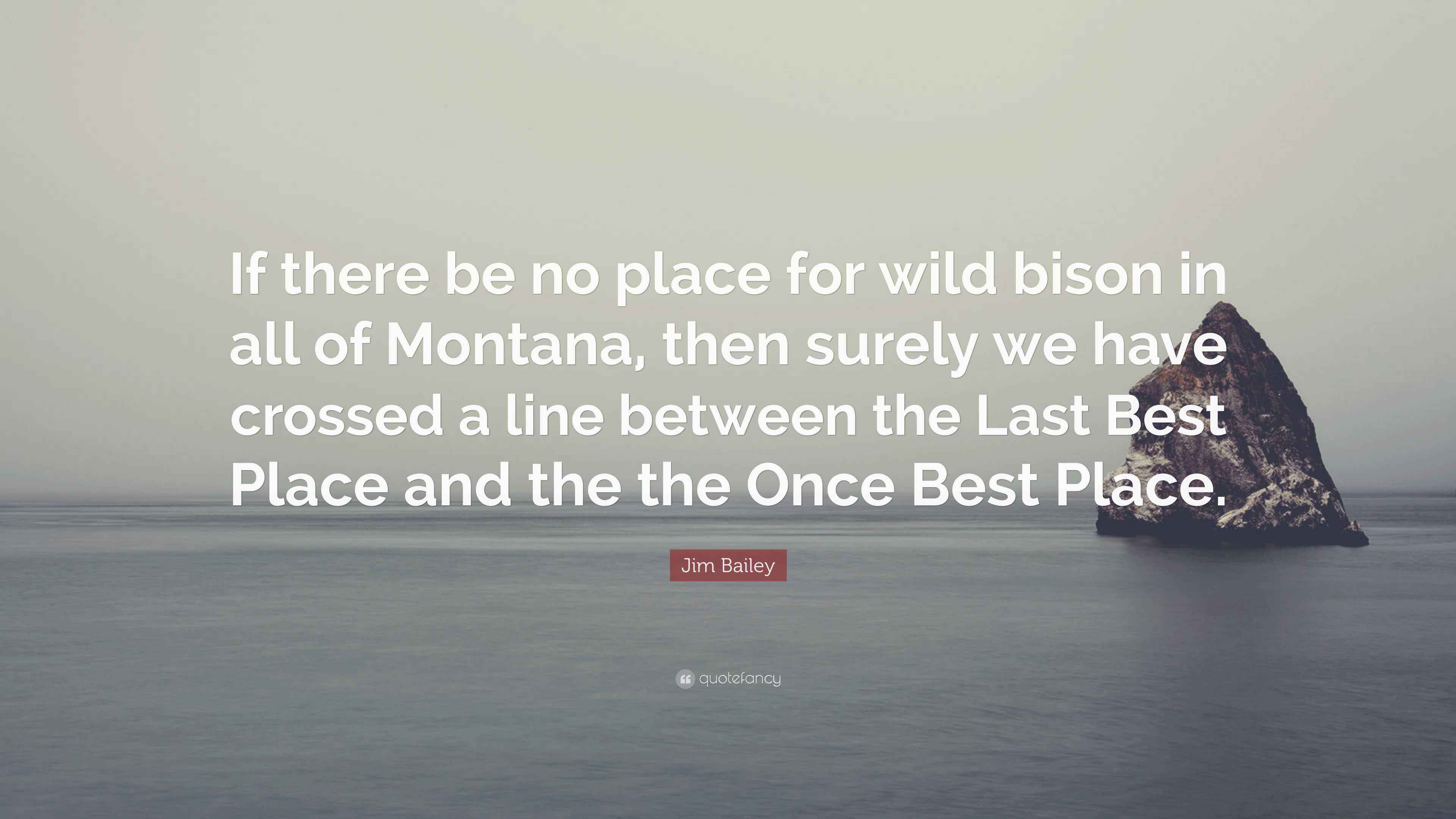 Jim Bailey Quote: “If there be no place for wild bison in all of ...