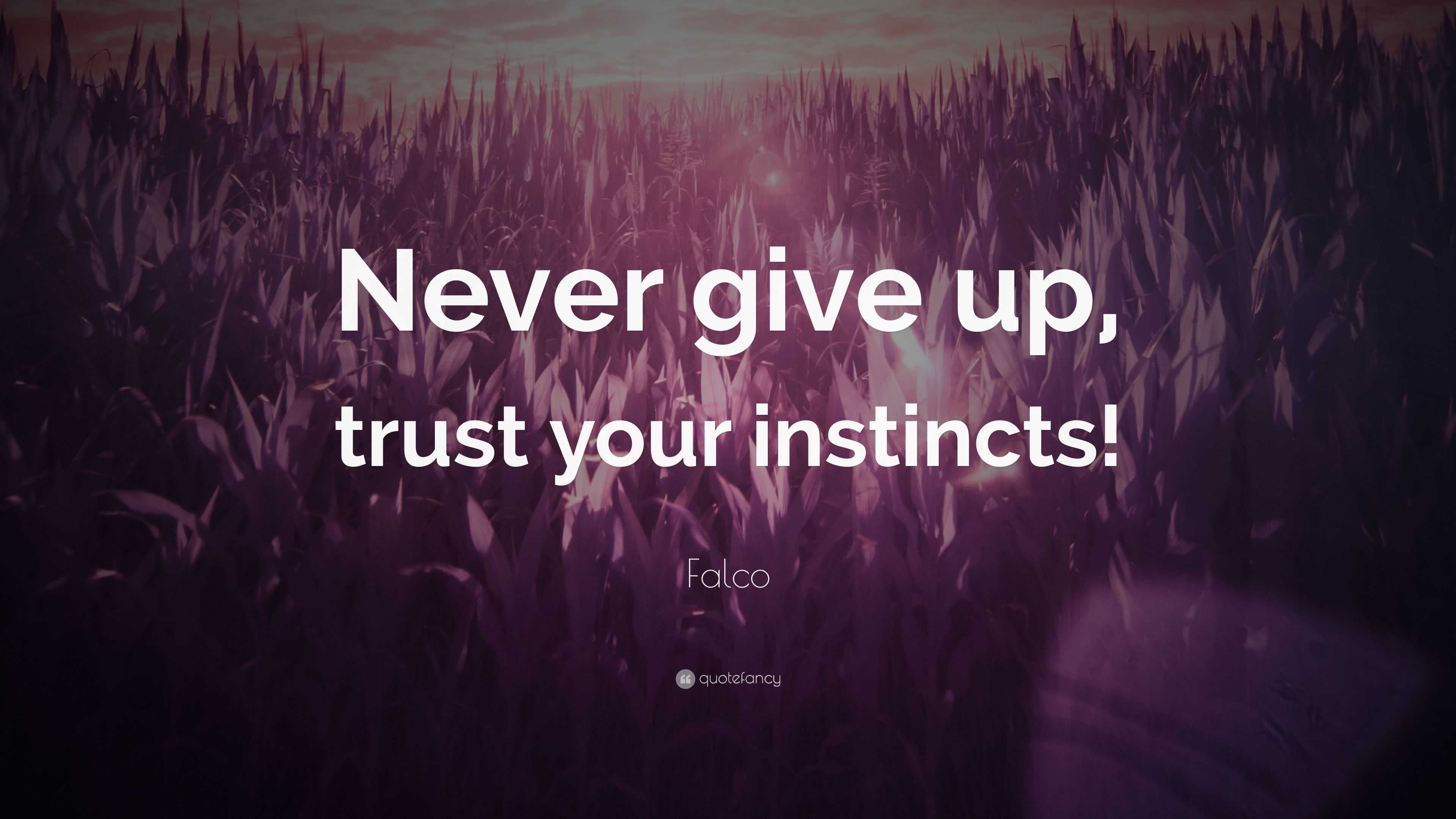 Falco Quote: “Never give up, trust your instincts!”