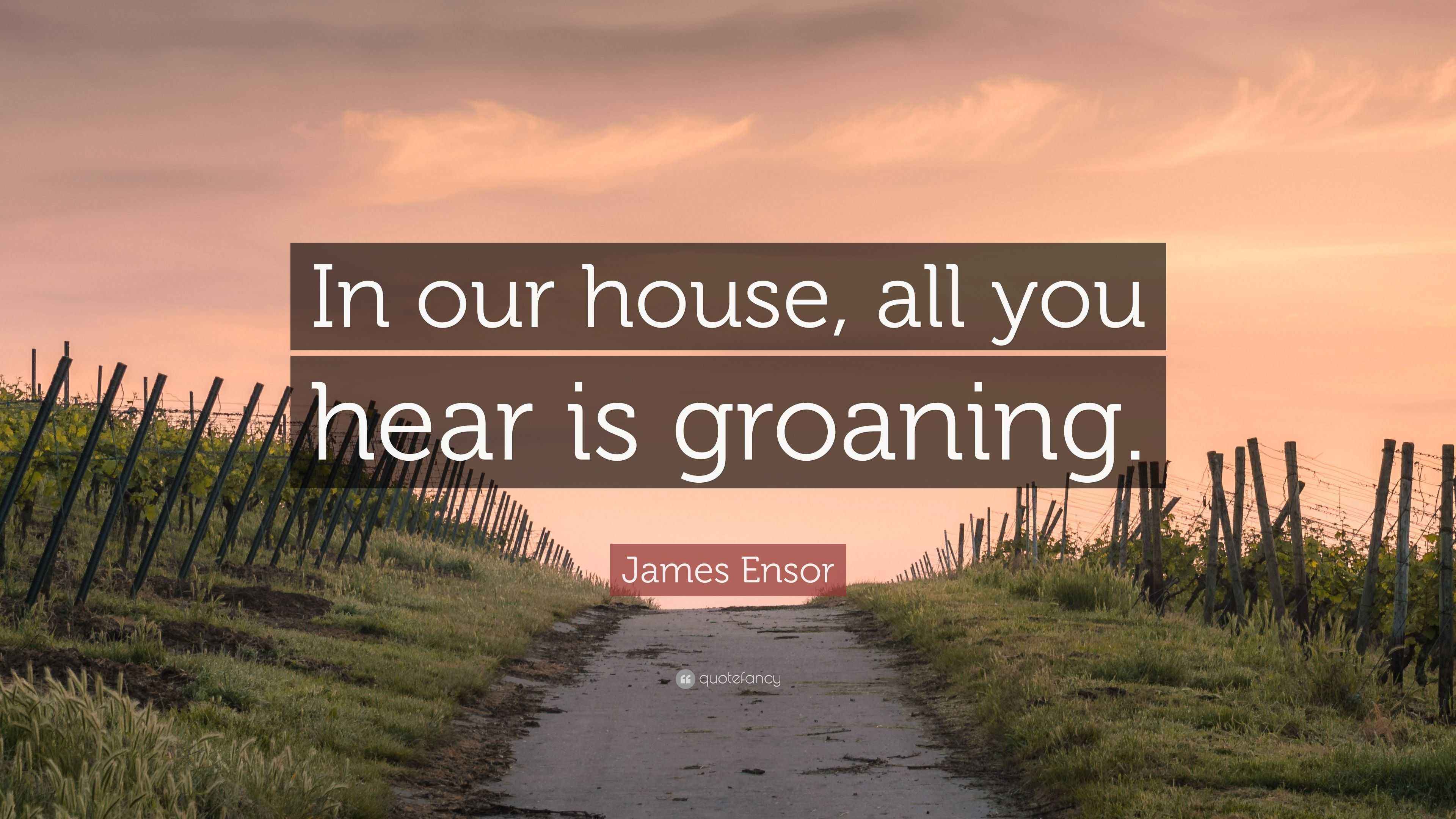 James Ensor Quote: “In our house, all you hear is groaning.”