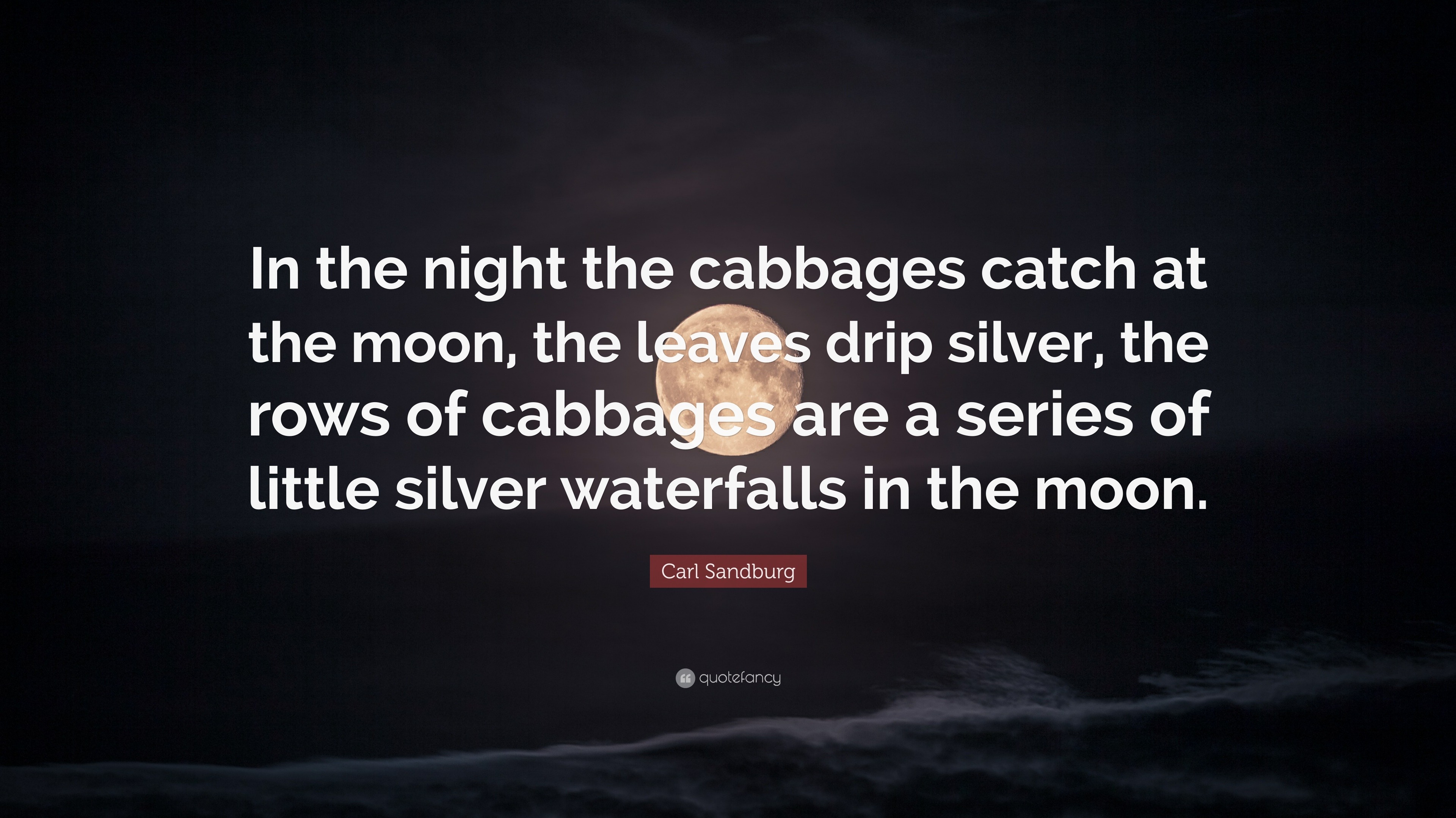 Carl Sandburg Quote: “In the night the cabbages catch at the moon, the ...