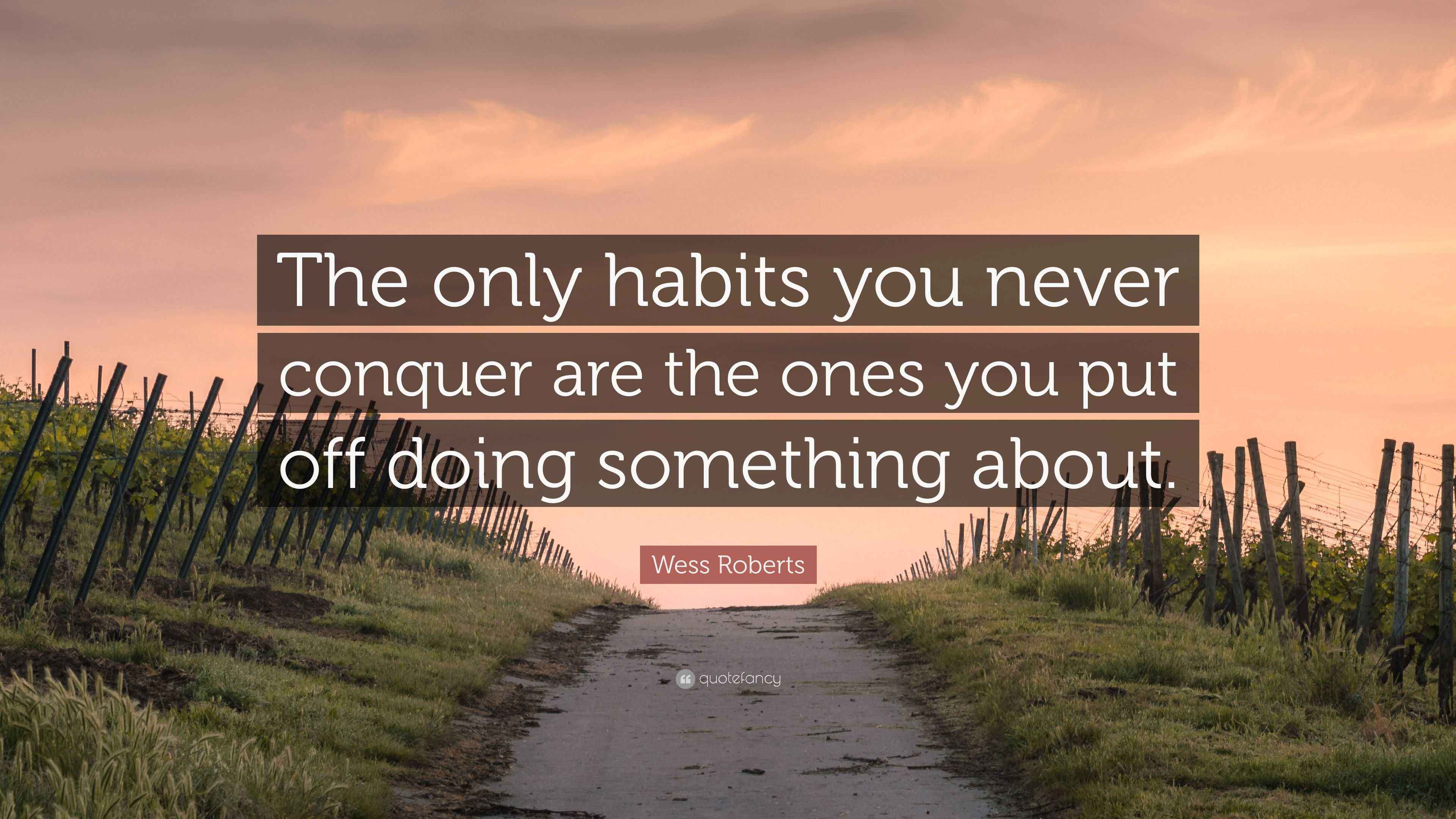 Wess Roberts Quote: “The only habits you never conquer are the ones you ...