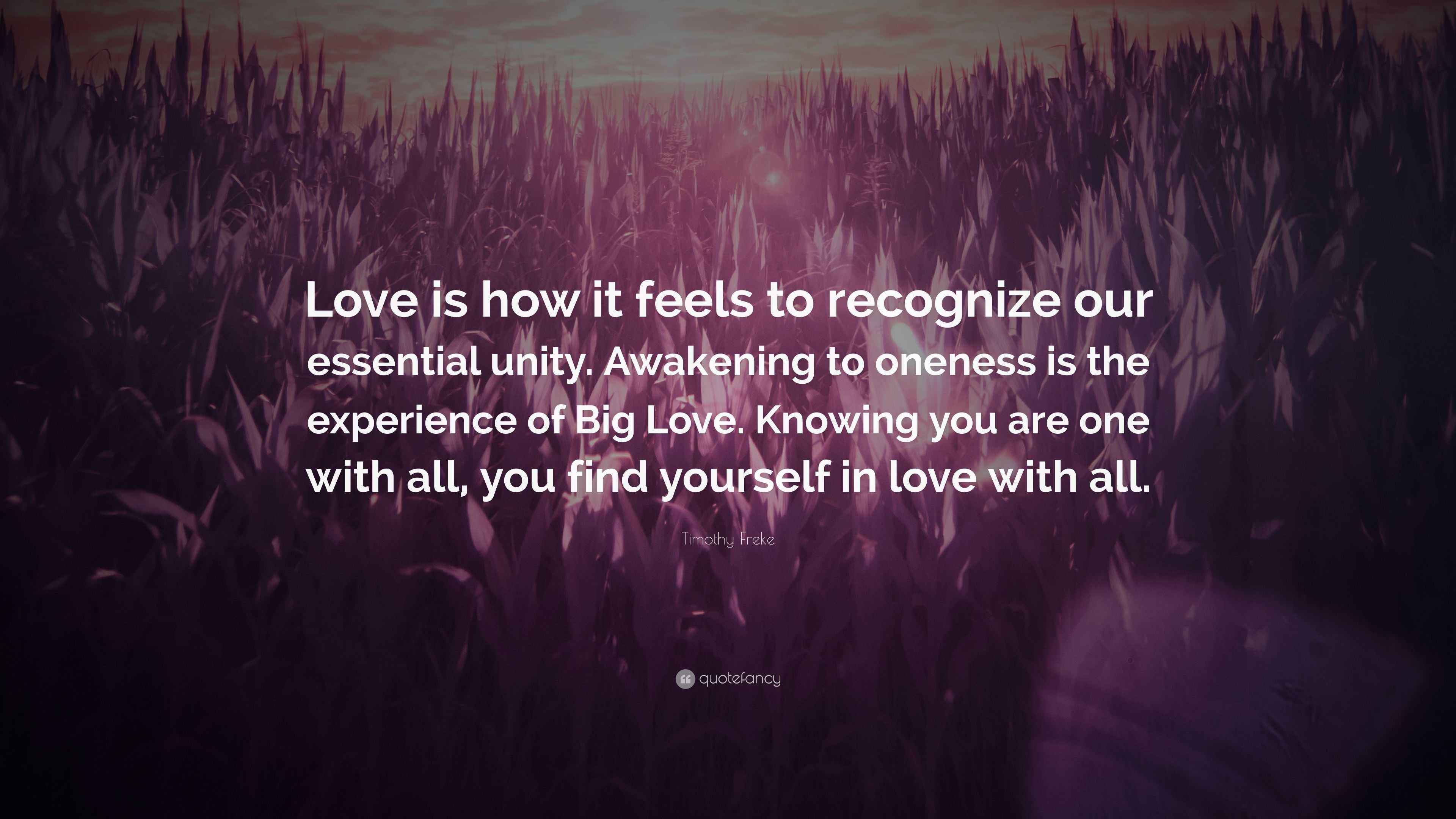 Timothy Freke Quote: “Love is how it feels to recognize our essential ...