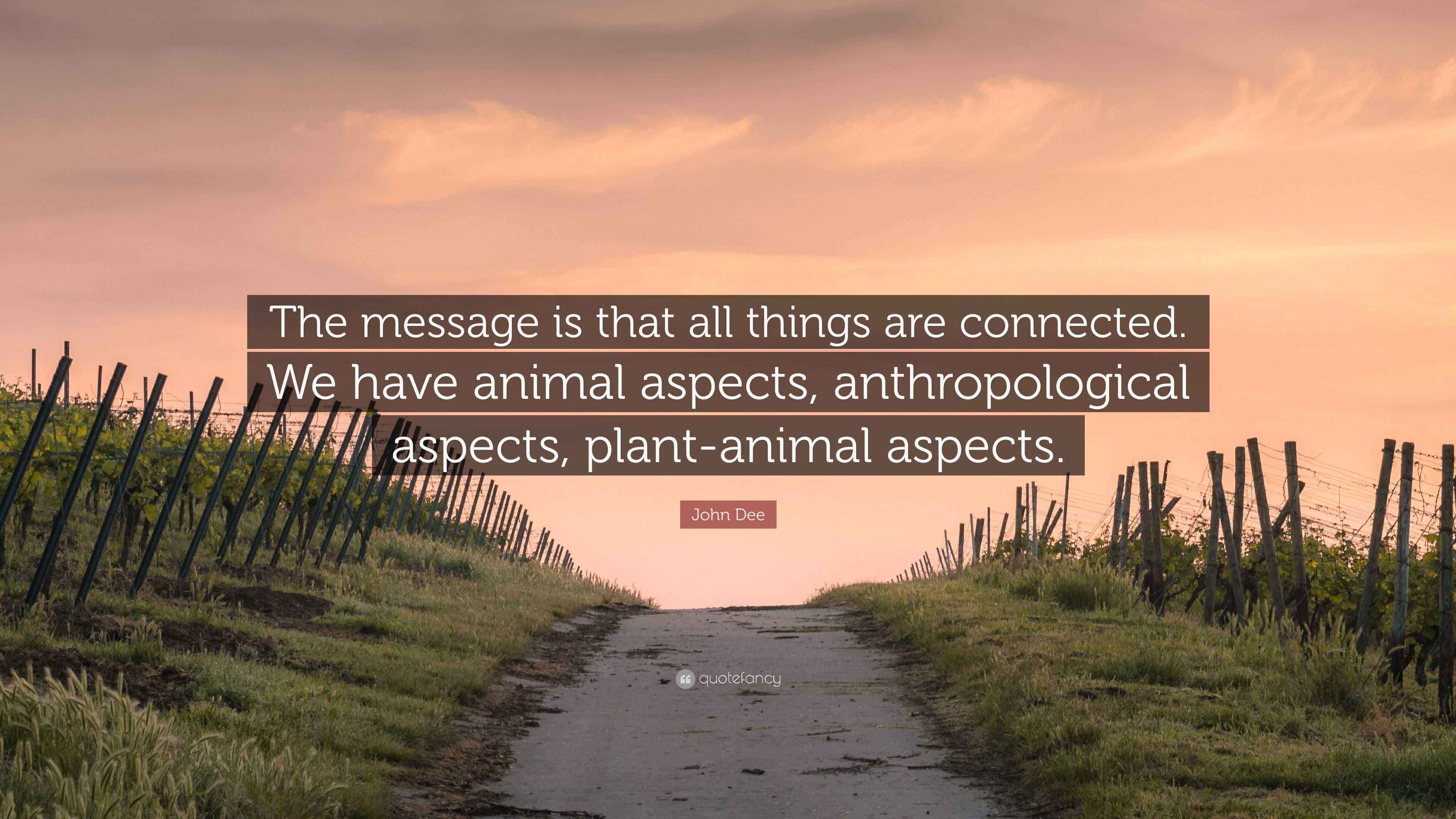 John Dee Quote: “The message is that all things are connected. We have ...