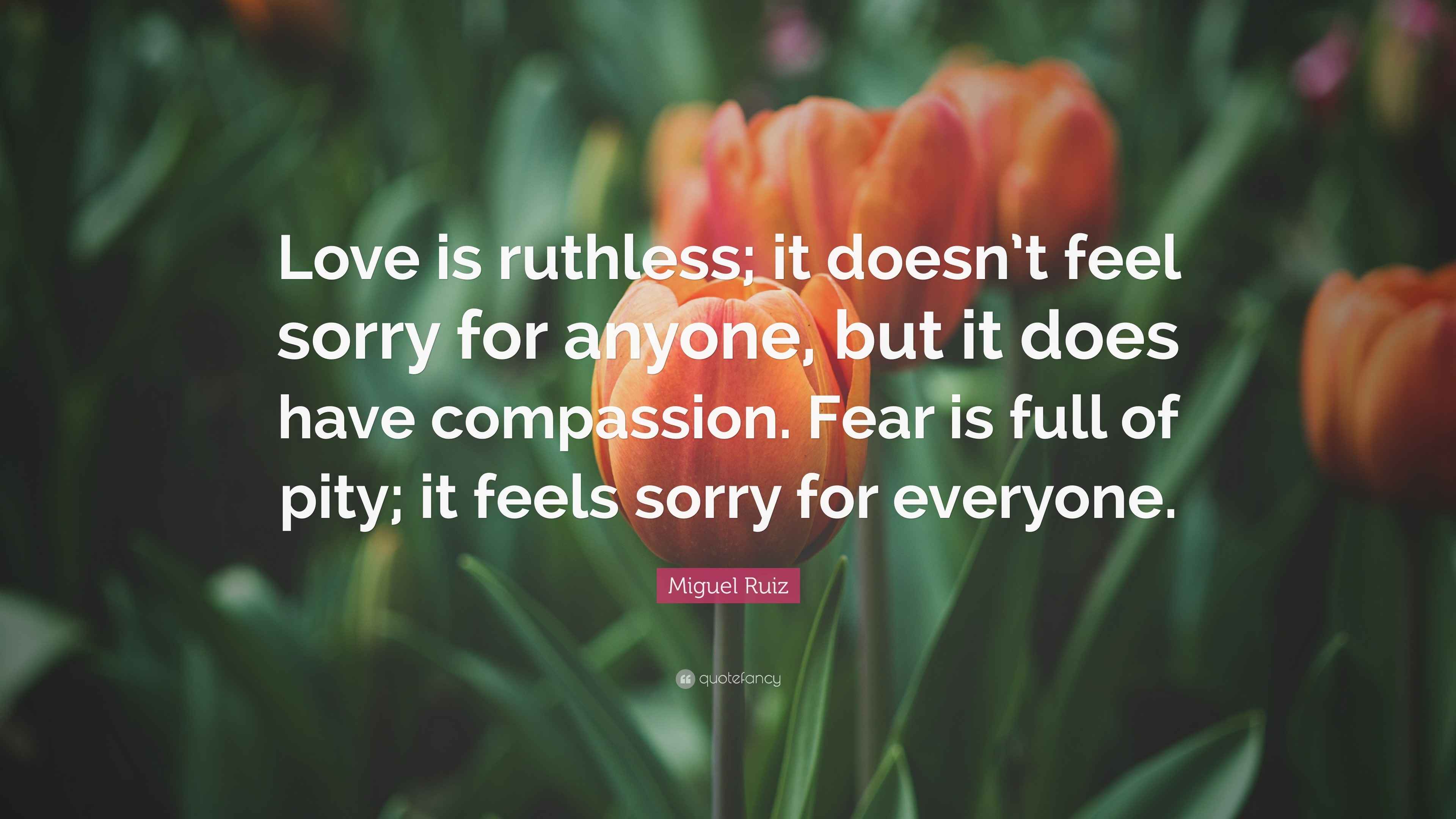 Miguel Ruiz Quote: “Love is ruthless; it doesn’t feel sorry for anyone ...