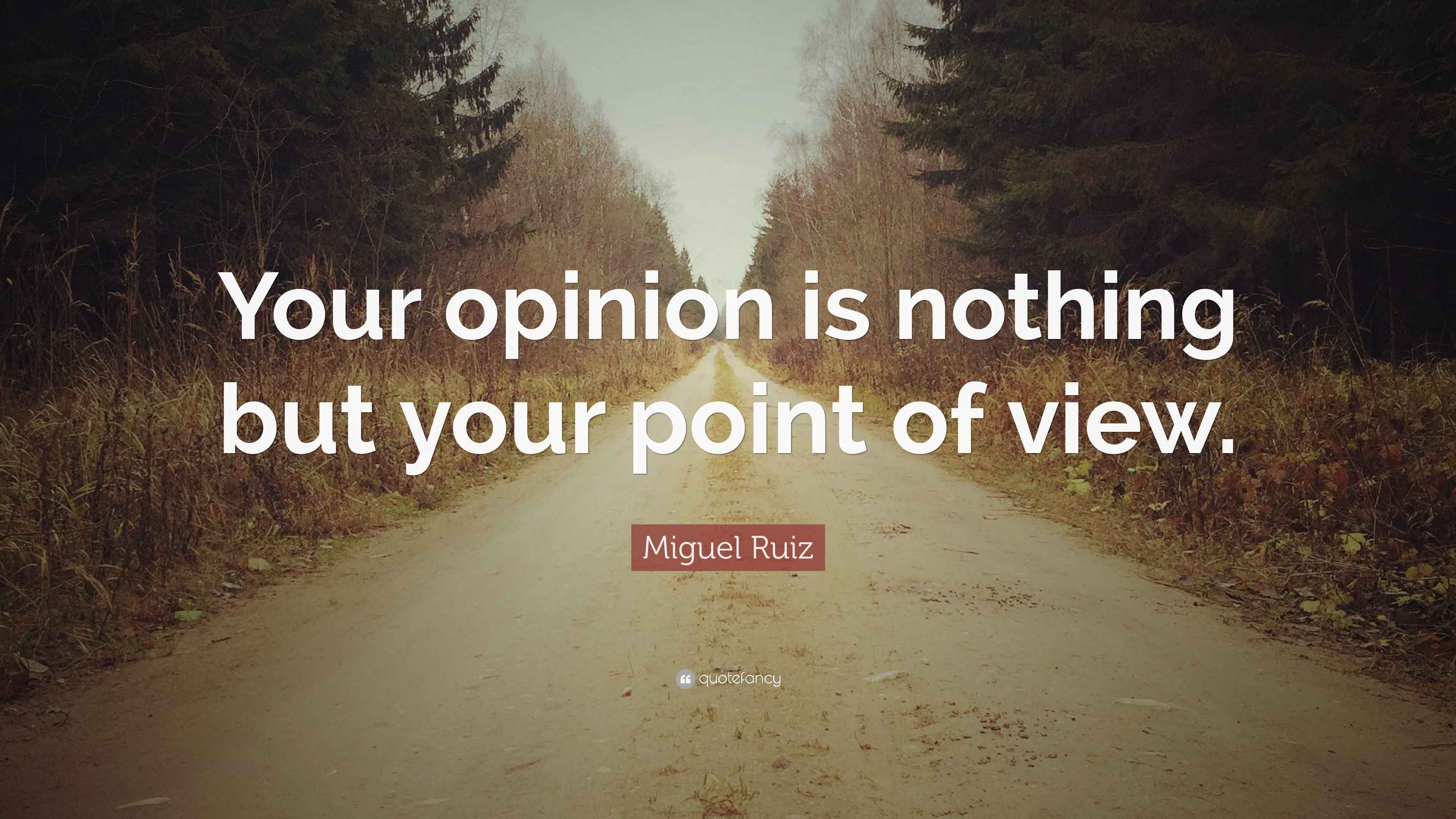 Miguel Ruiz Quote: “Your opinion is nothing but your point of view.”