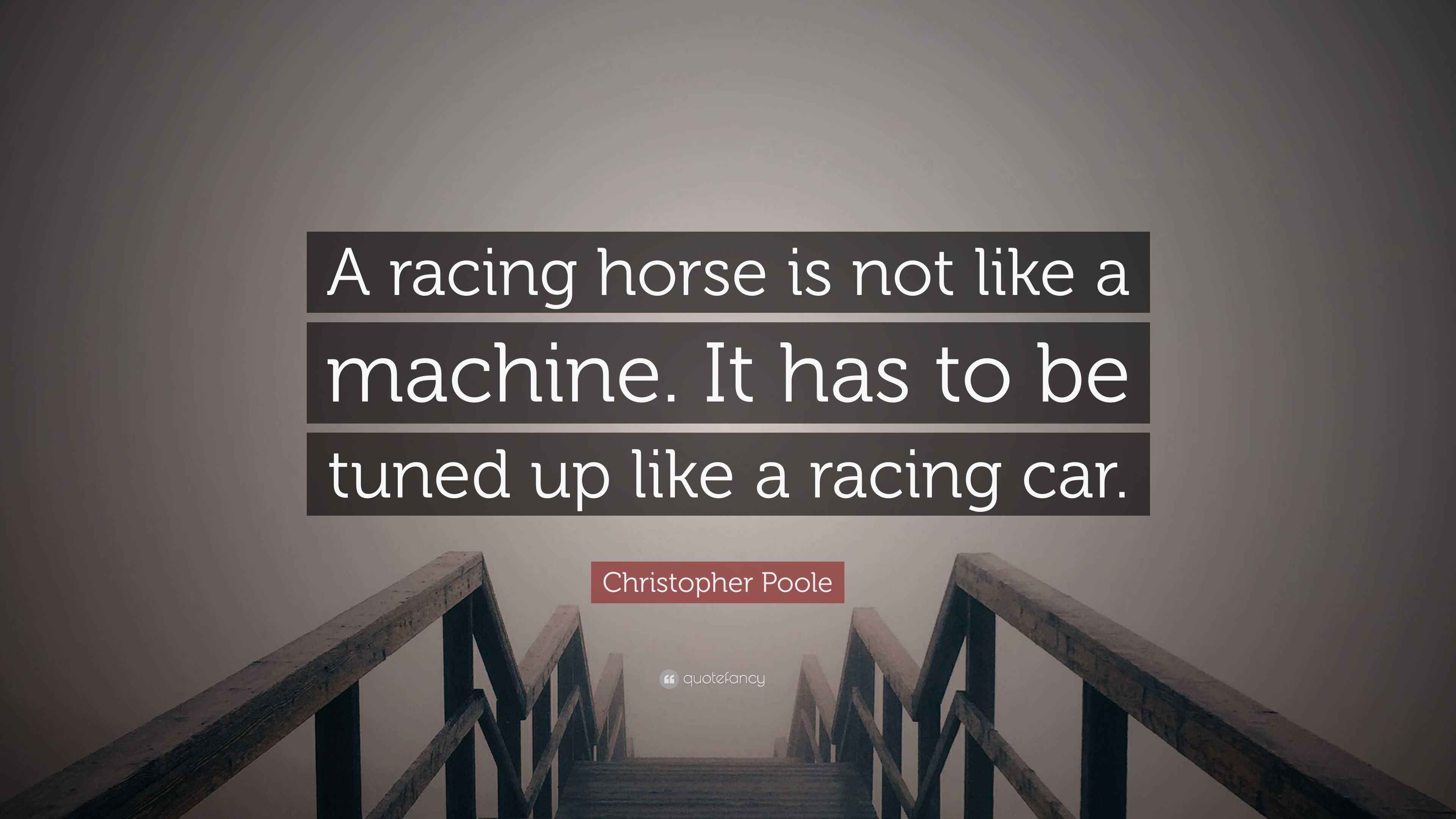Christopher Poole Quote: “A racing horse is not like a machine. It has ...