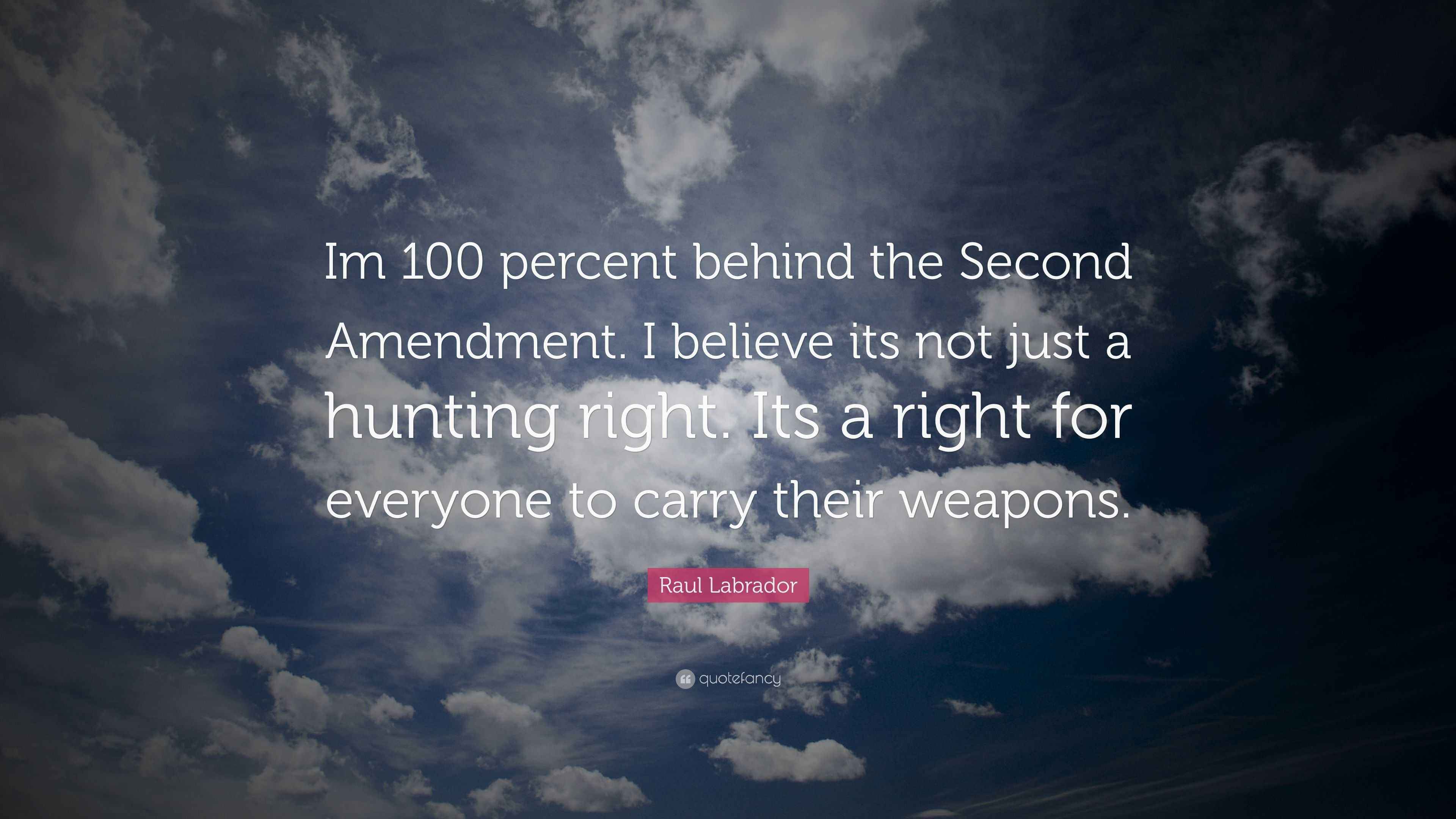 Raul Labrador Quote: “Im 100 percent behind the Second Amendment. I ...