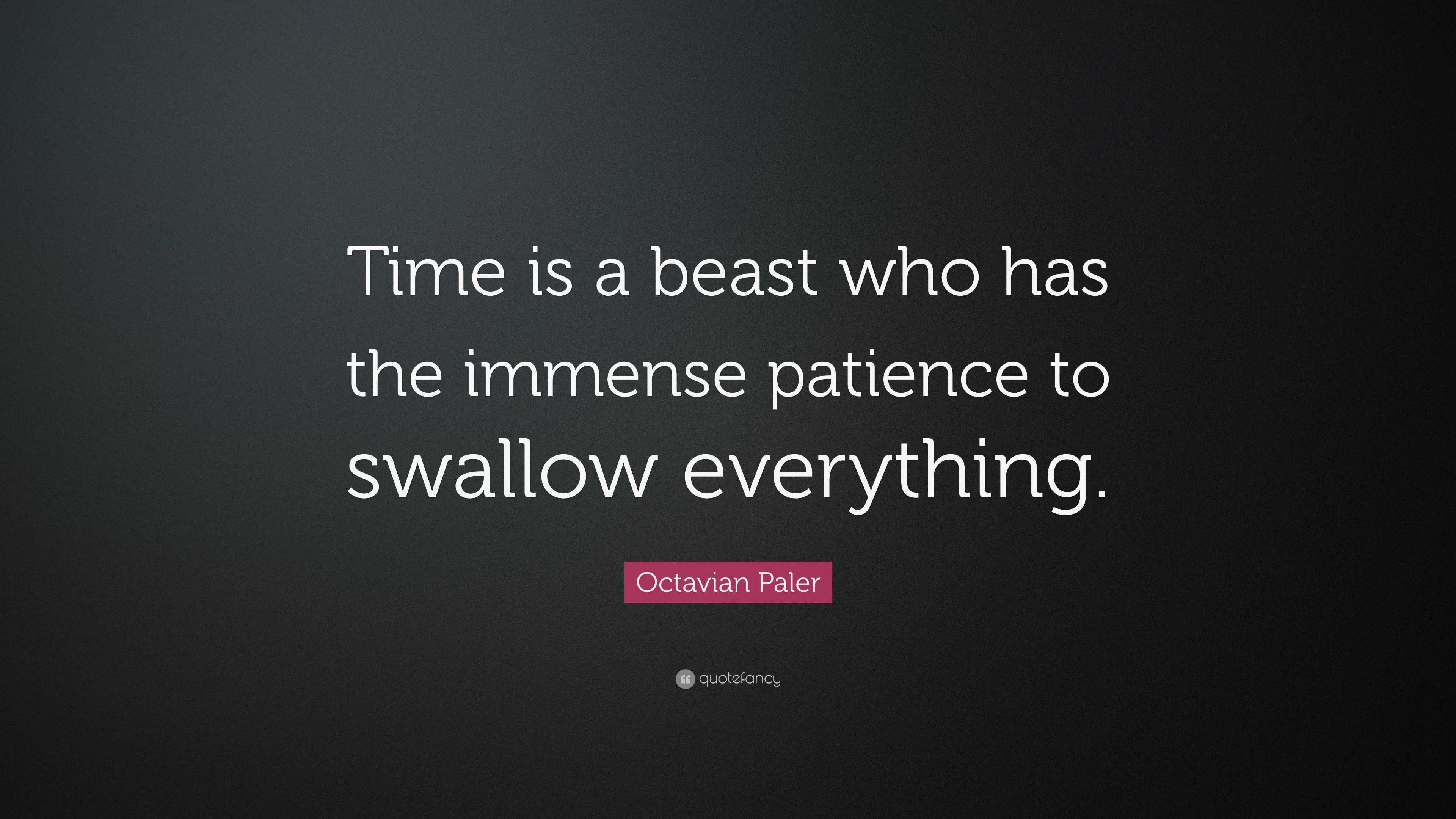 Octavian Paler Quote: “Time is a beast who has the immense patience to ...