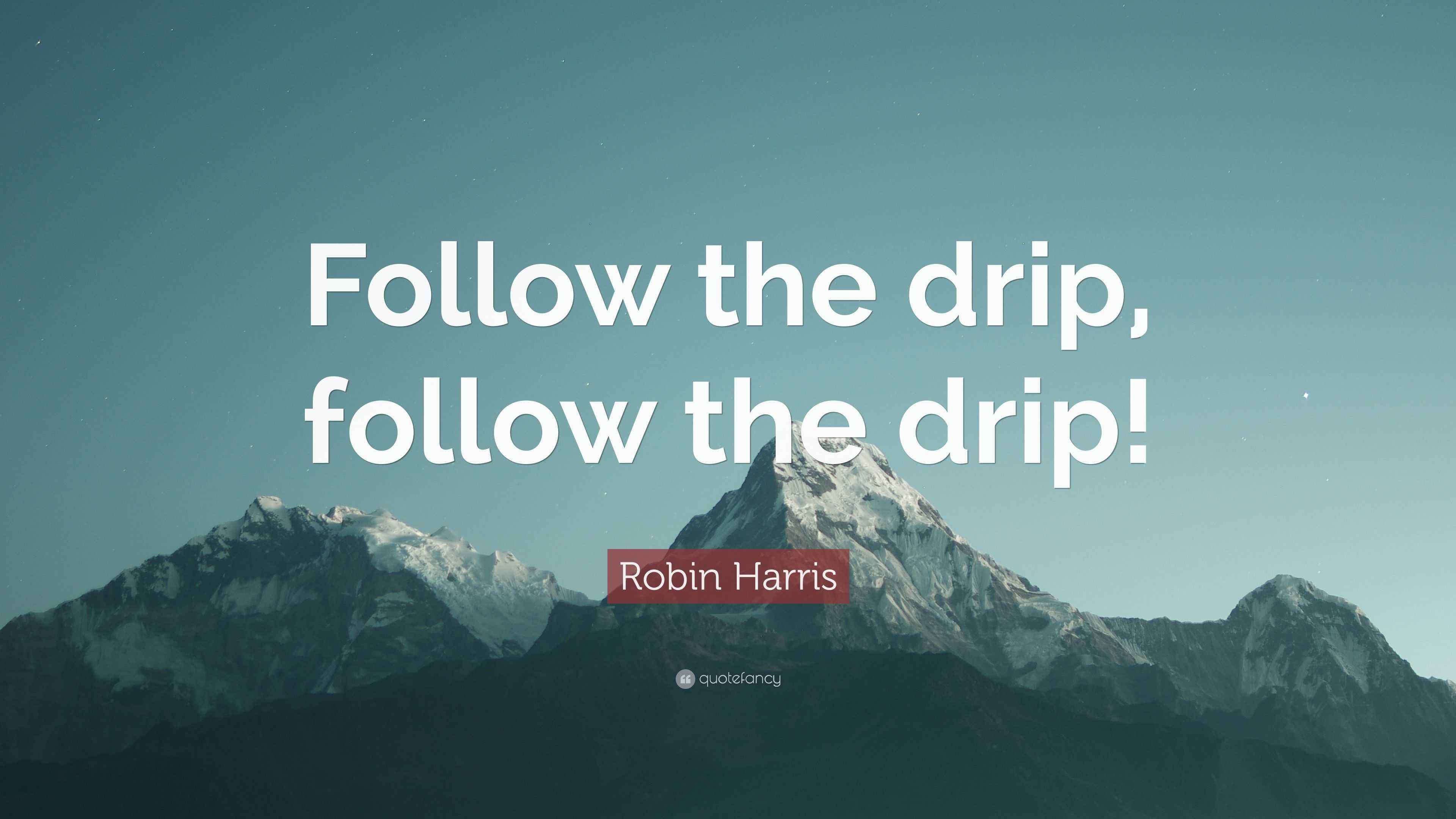 Robin Harris Quote: “Follow the drip, follow the drip!”