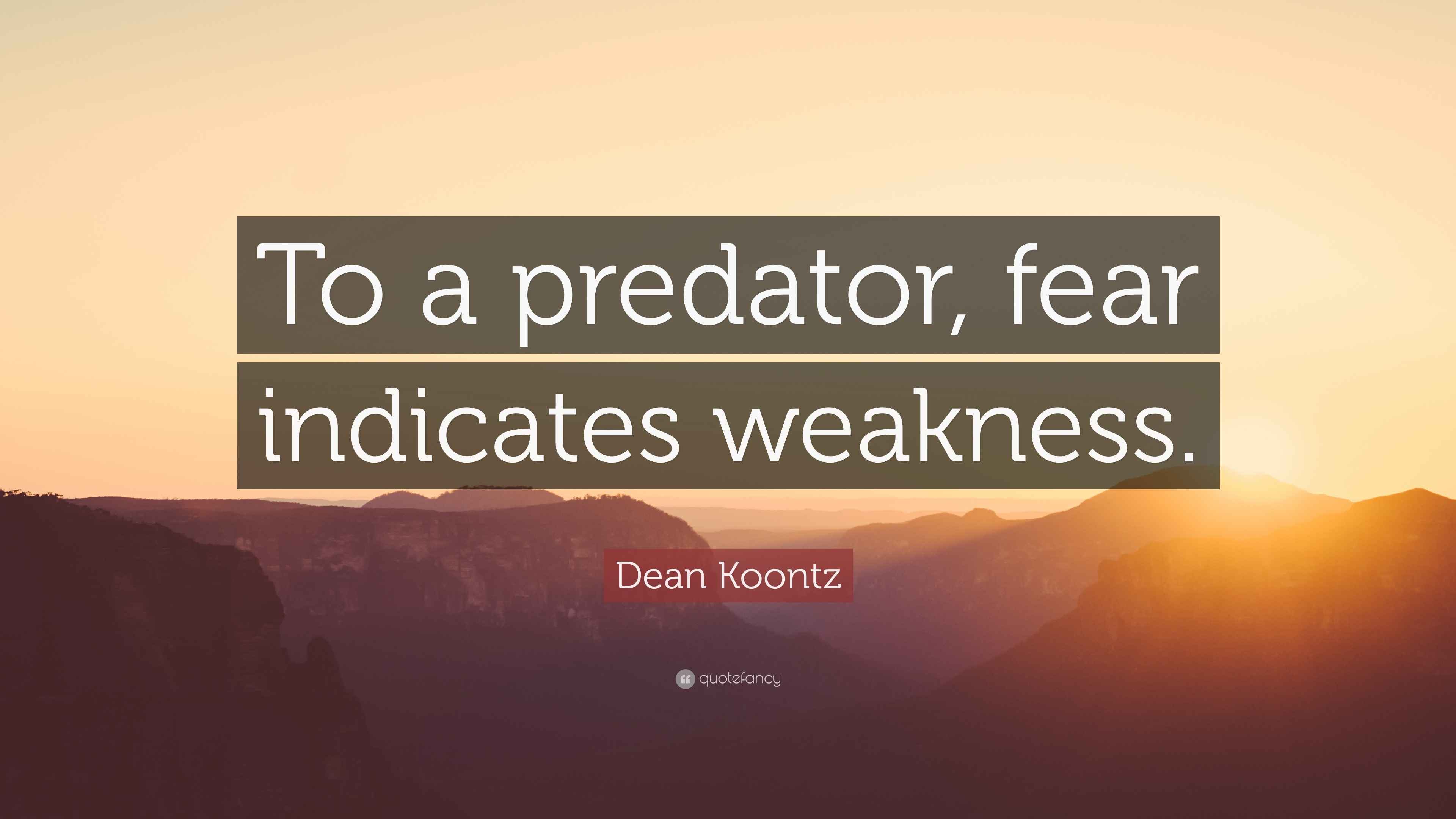 Dean Koontz Quote: “To a predator, fear indicates weakness.”