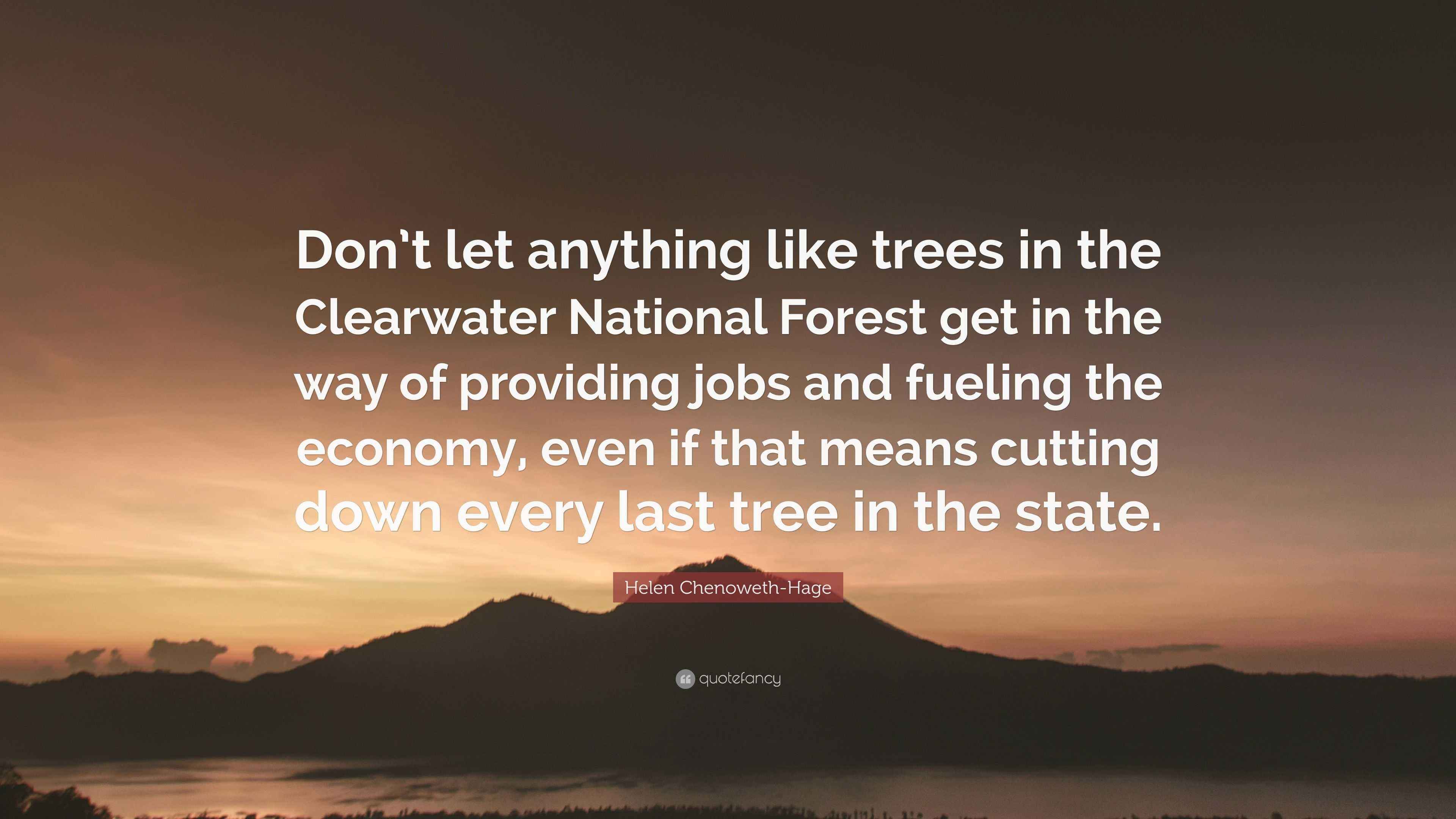 Helen Chenoweth-Hage Quote: “Don’t let anything like trees in the ...