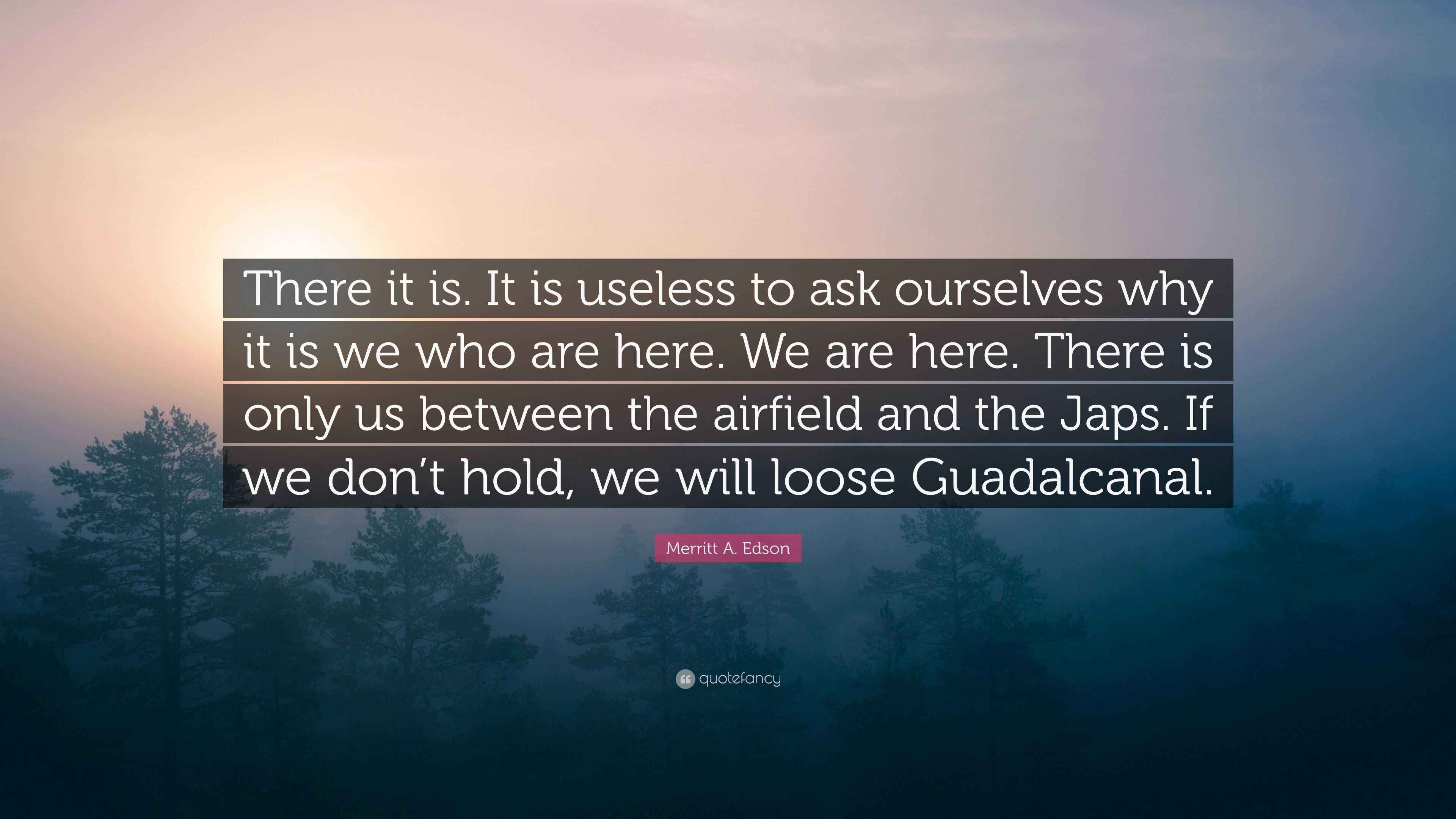Merritt A. Edson Quote: “There it is. It is useless to ask ourselves ...