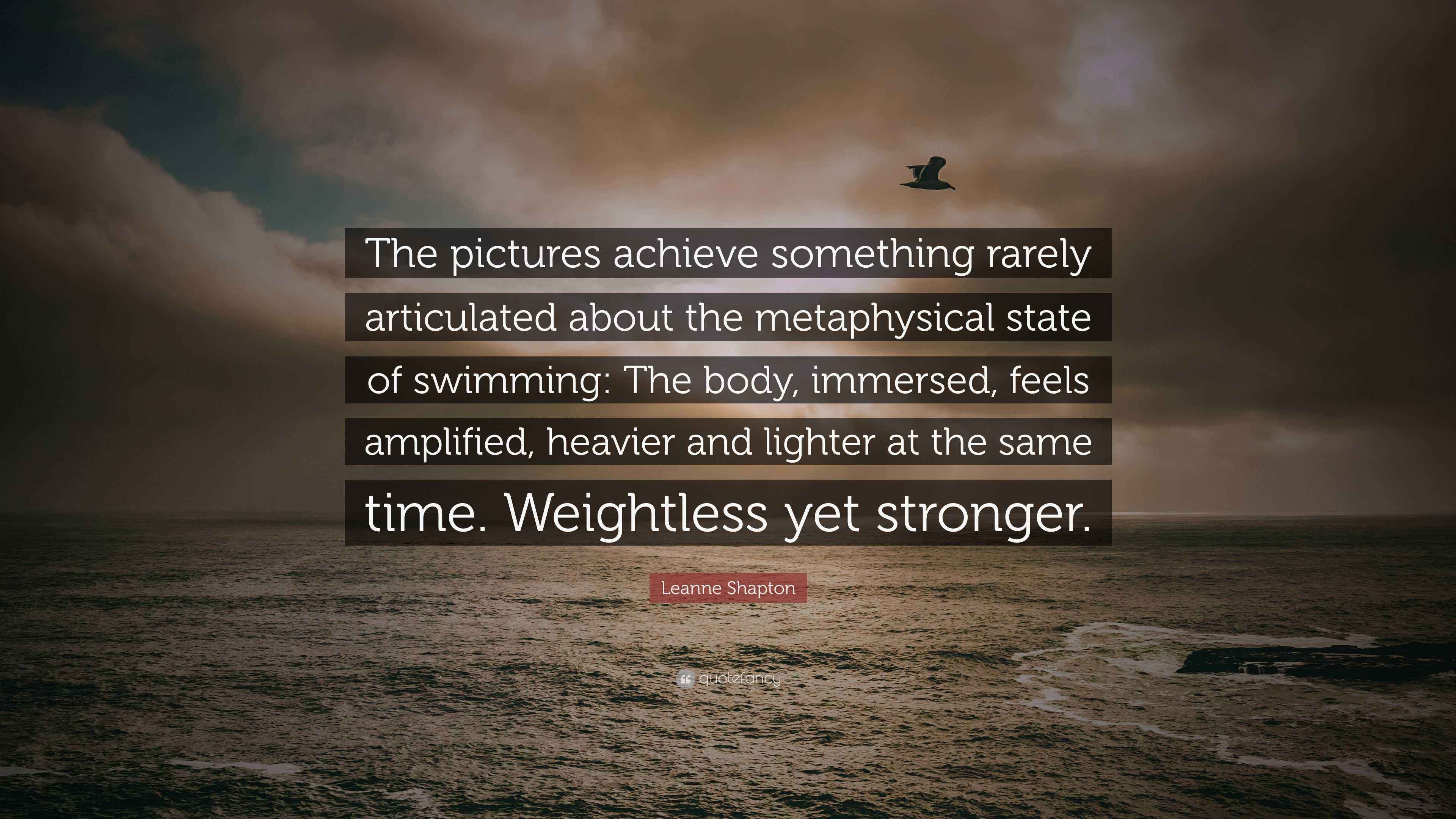 Leanne Shapton Quote: “The pictures achieve something rarely ...