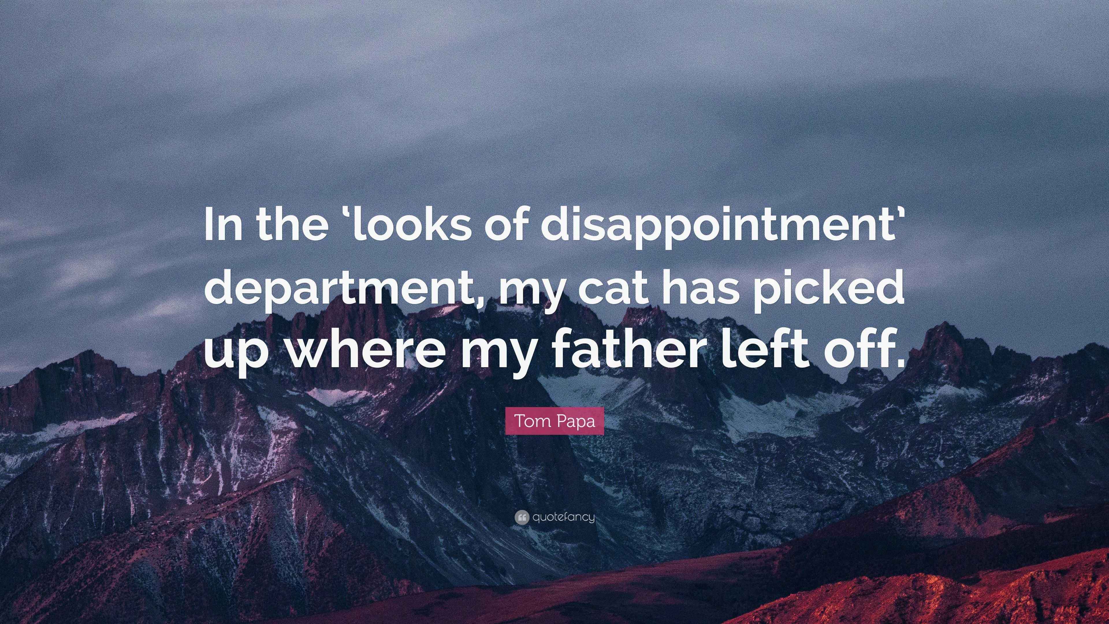 Tom Papa Quote: “In the ‘looks of disappointment’ department, my cat ...