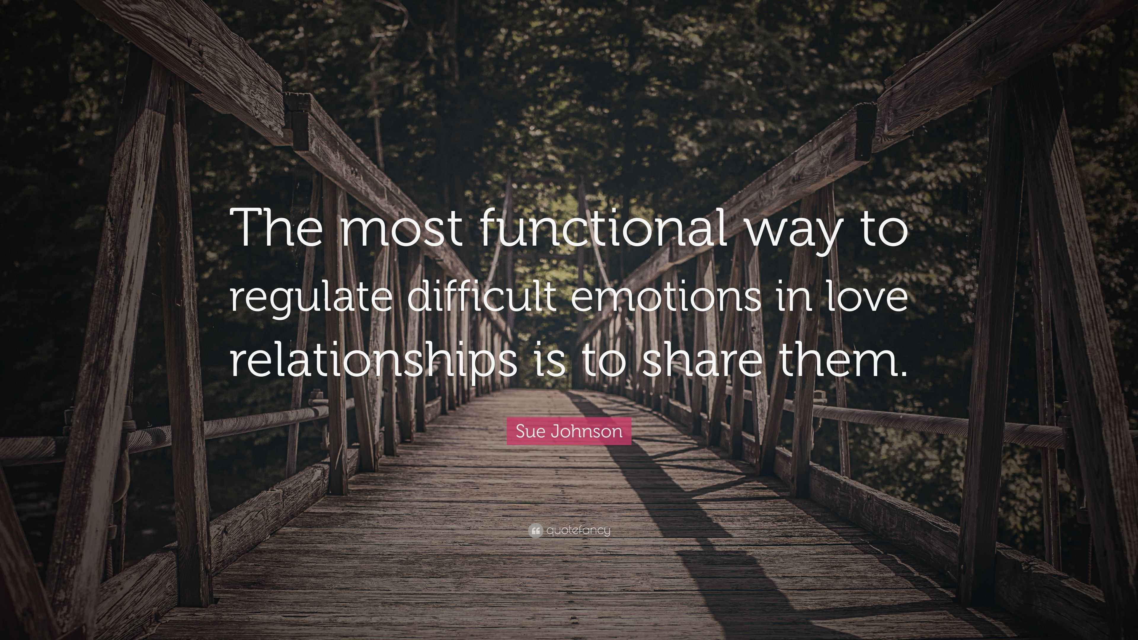Sue Johnson Quote: “The most functional way to regulate difficult ...