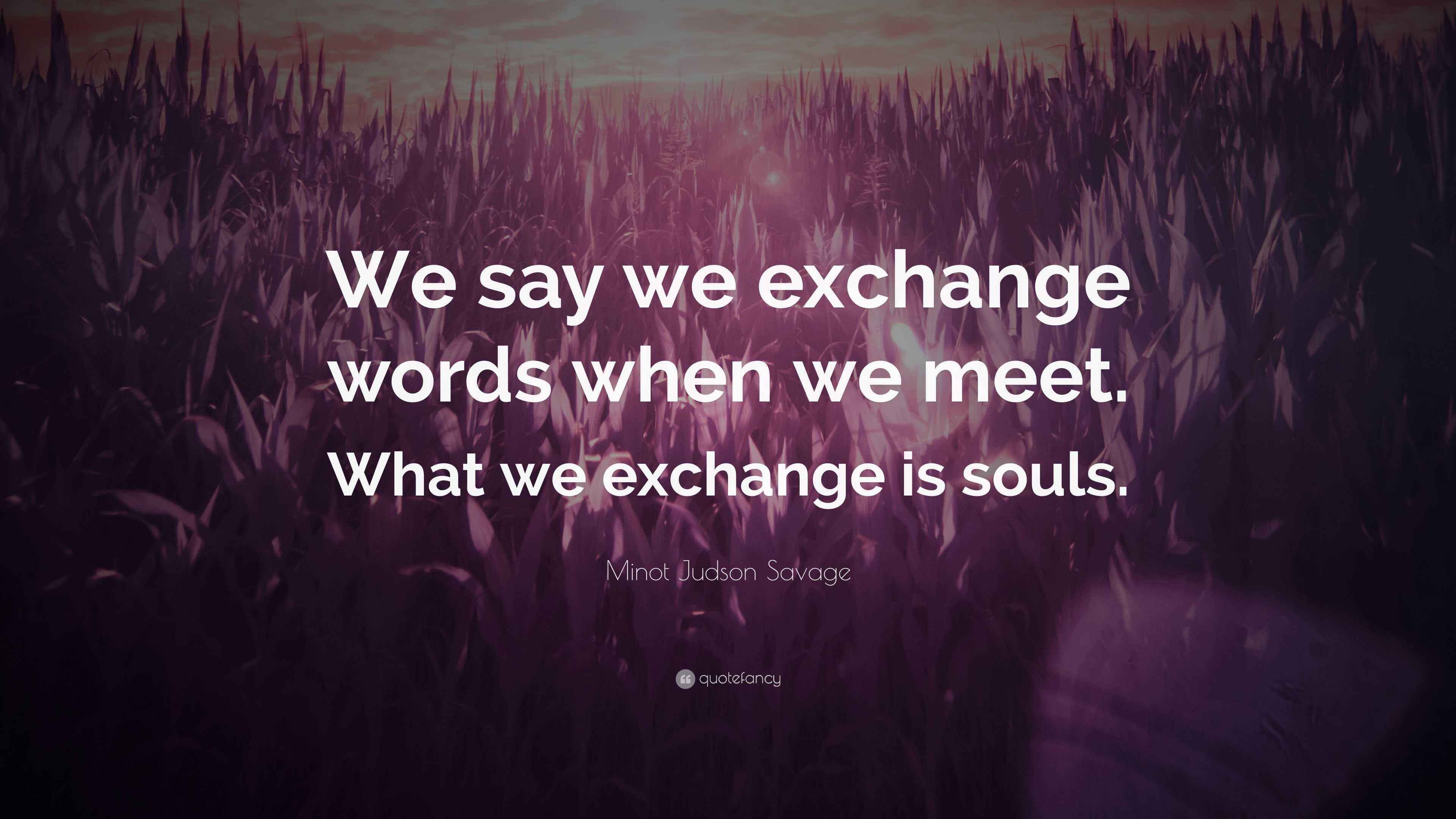 Minot Judson Savage Quote: “We say we exchange words when we meet. What ...