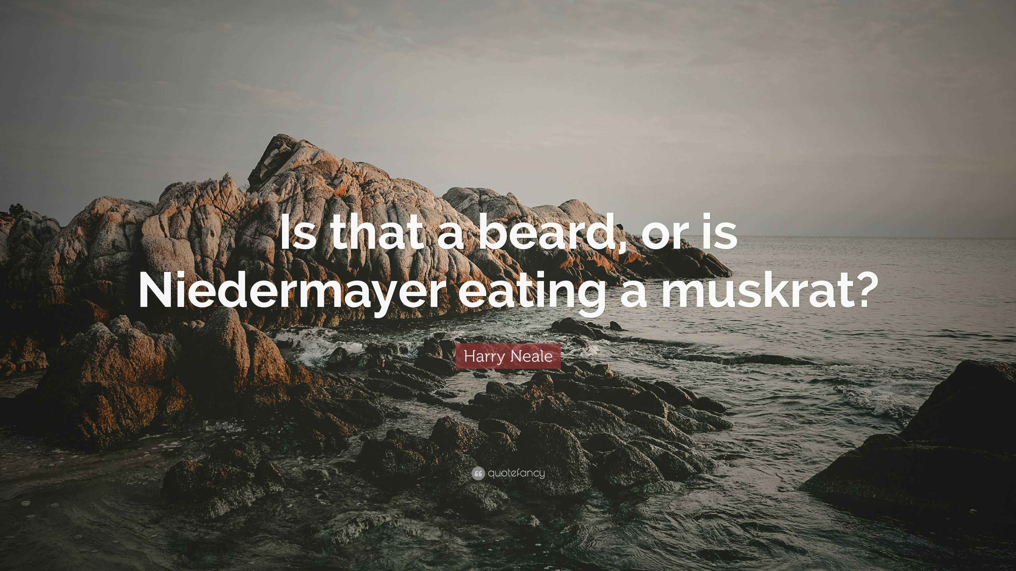 Harry Neale Quote: “Is that a beard, or is Niedermayer eating a muskrat?”