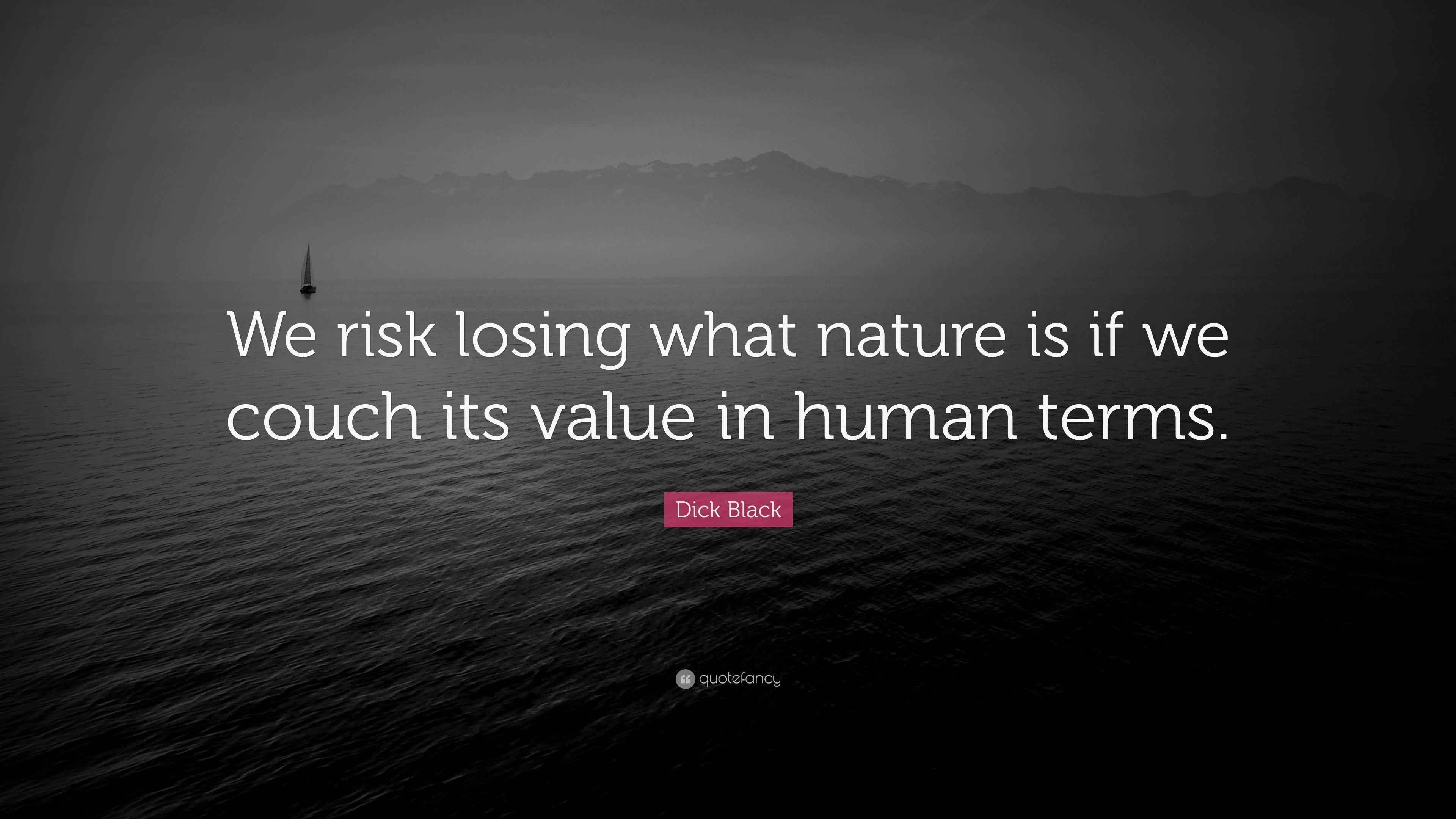 Dick Black Quote: “We risk losing what nature is if we couch its value ...