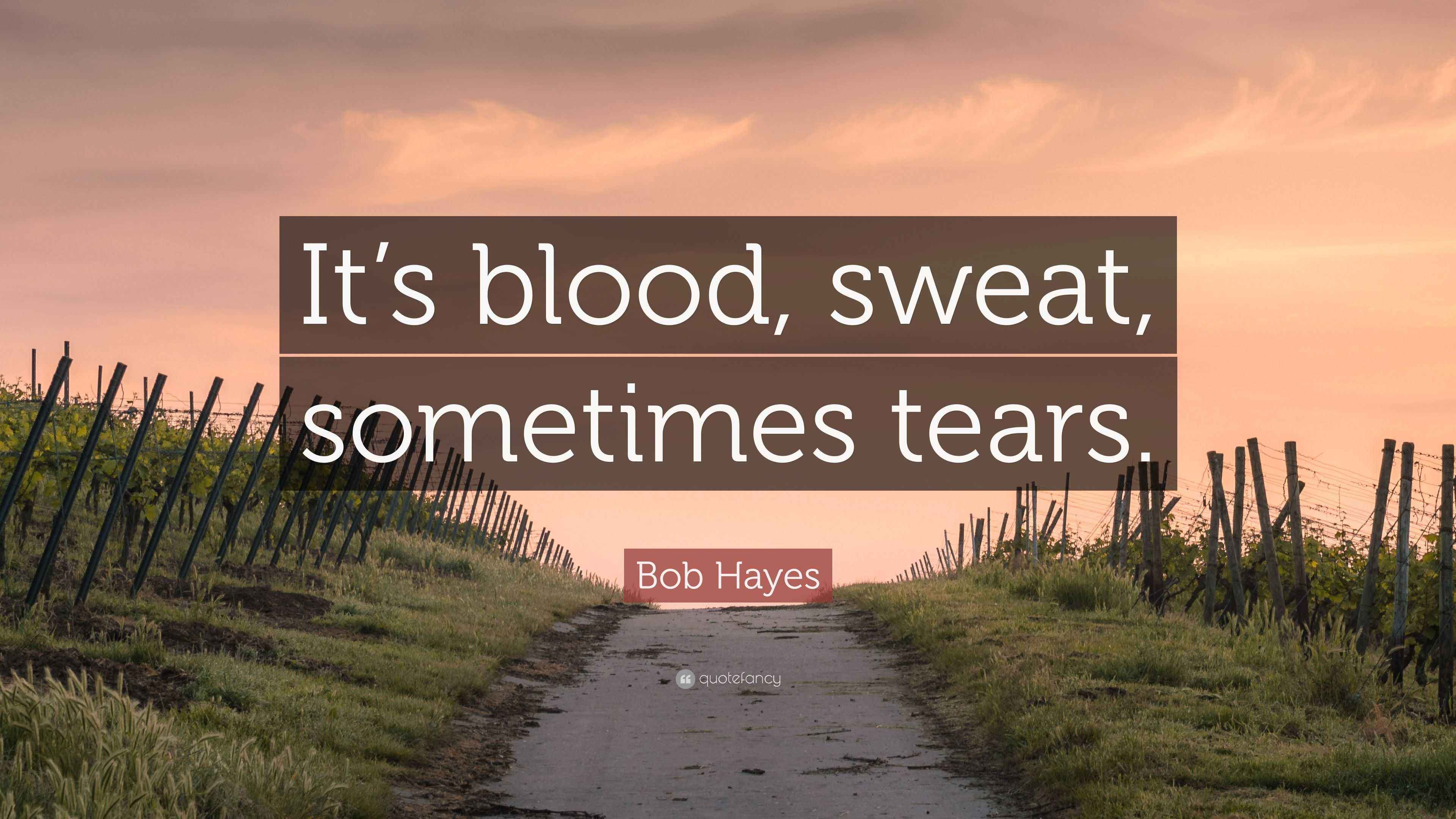 Bob Hayes Quote: “It’s blood, sweat, sometimes tears.”