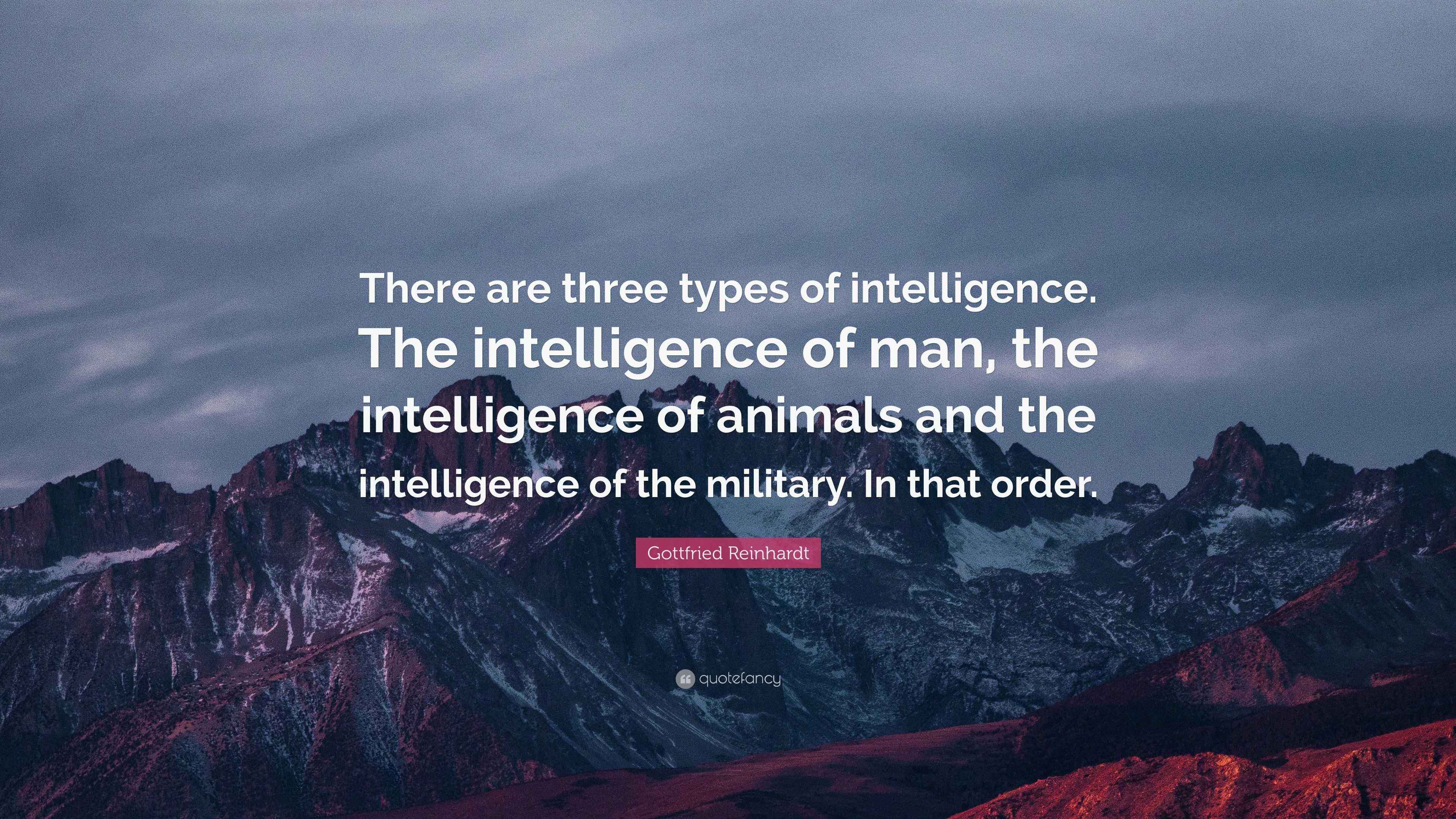 Gottfried Reinhardt Quote: “There are three types of intelligence. The ...