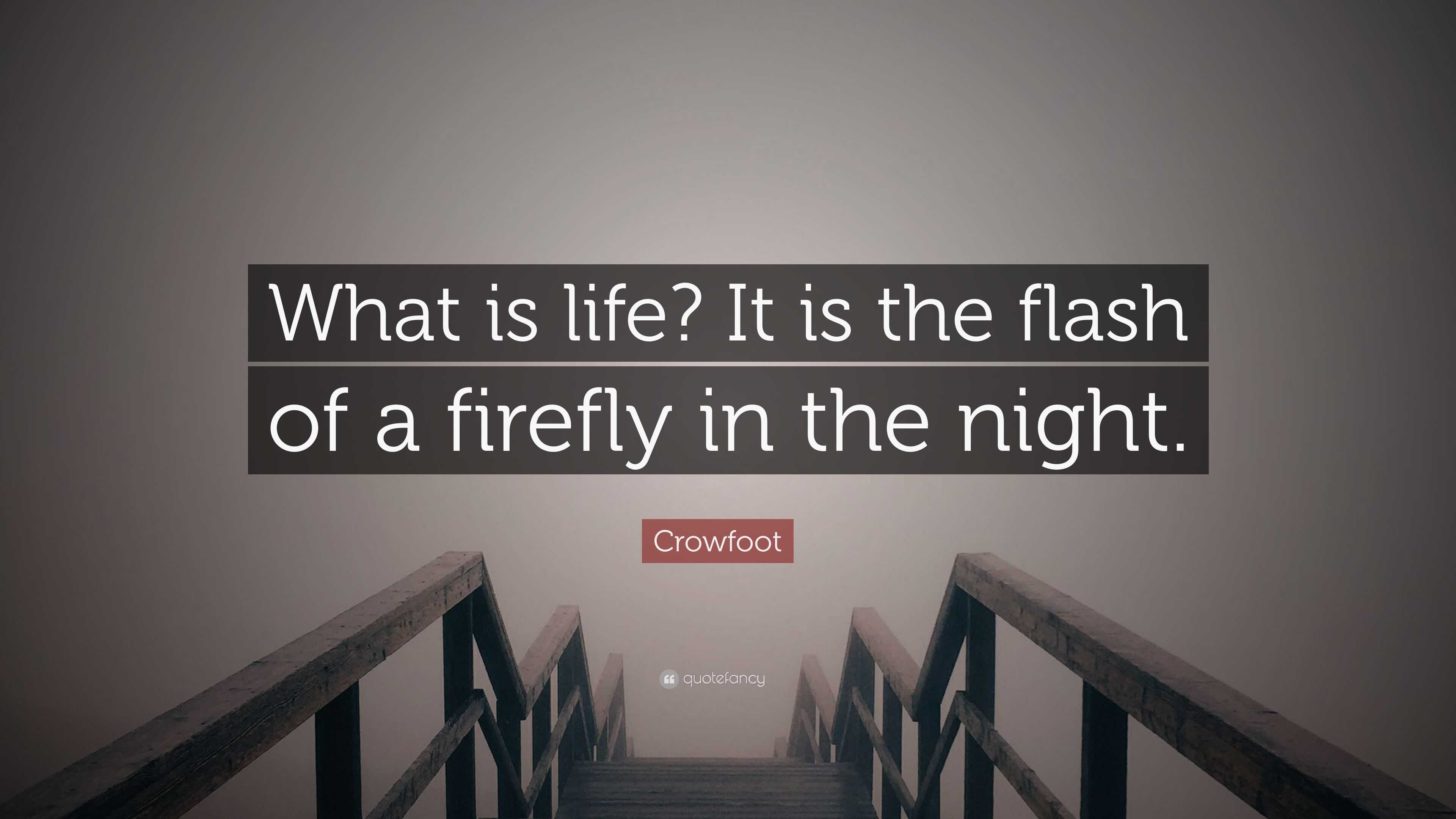 Crowfoot Quote: “What is life? It is the flash of a firefly in the night.”