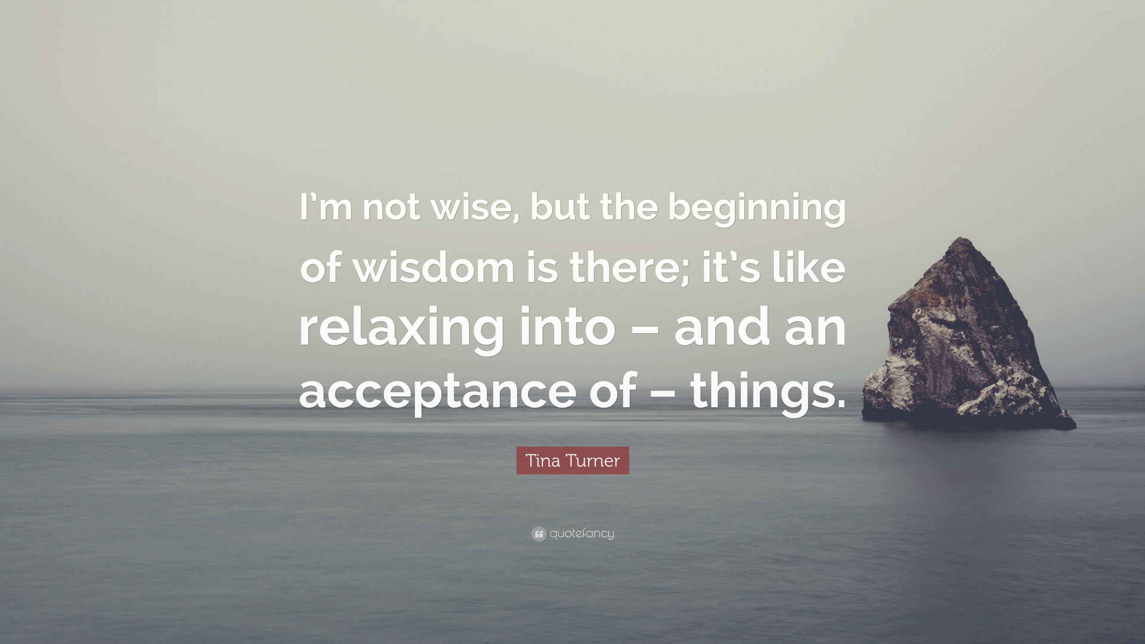 Tina Turner Quote: “I’m not wise, but the beginning of wisdom is there ...
