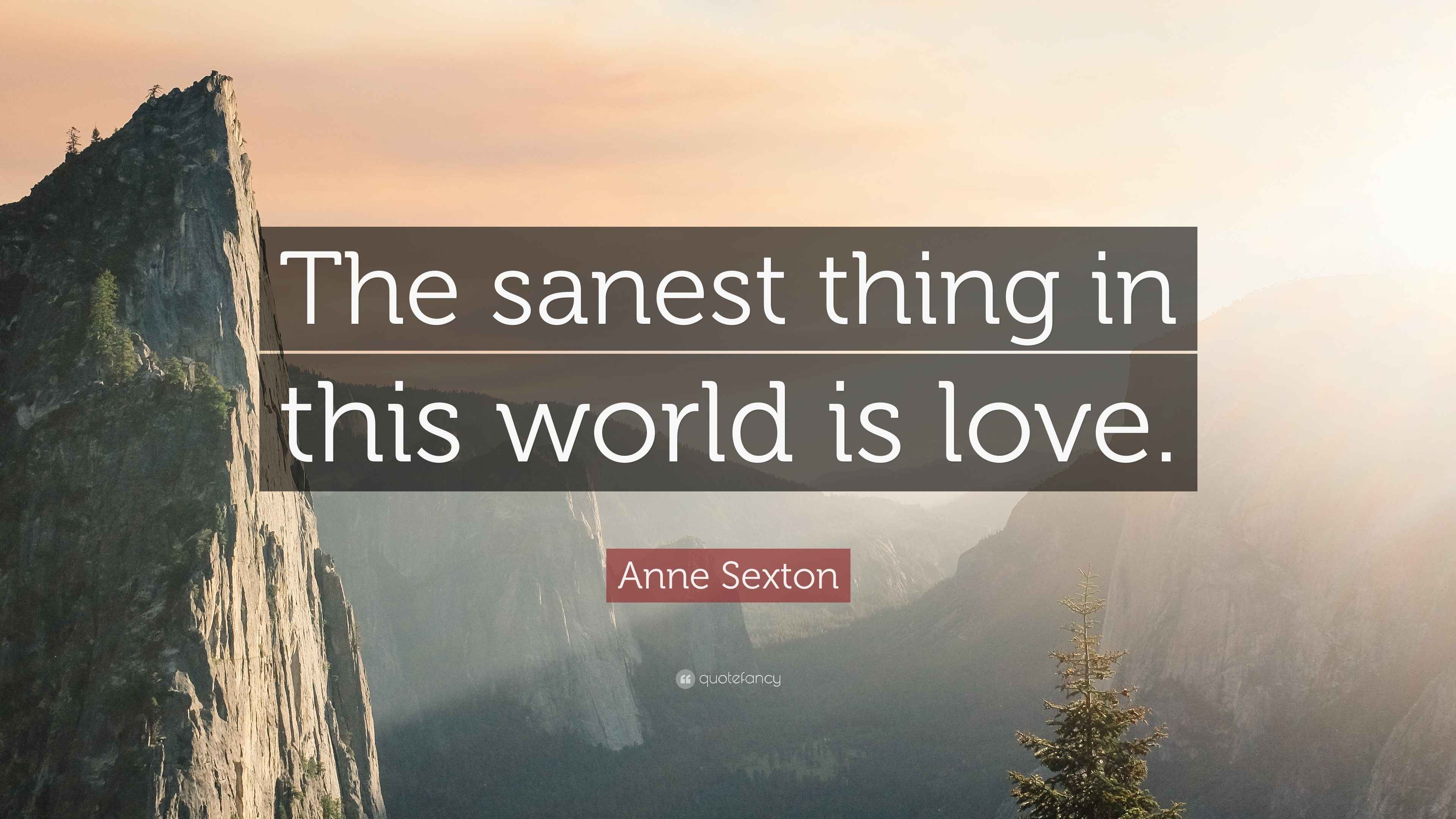 Anne Sexton Quote: “The sanest thing in this world is love.”