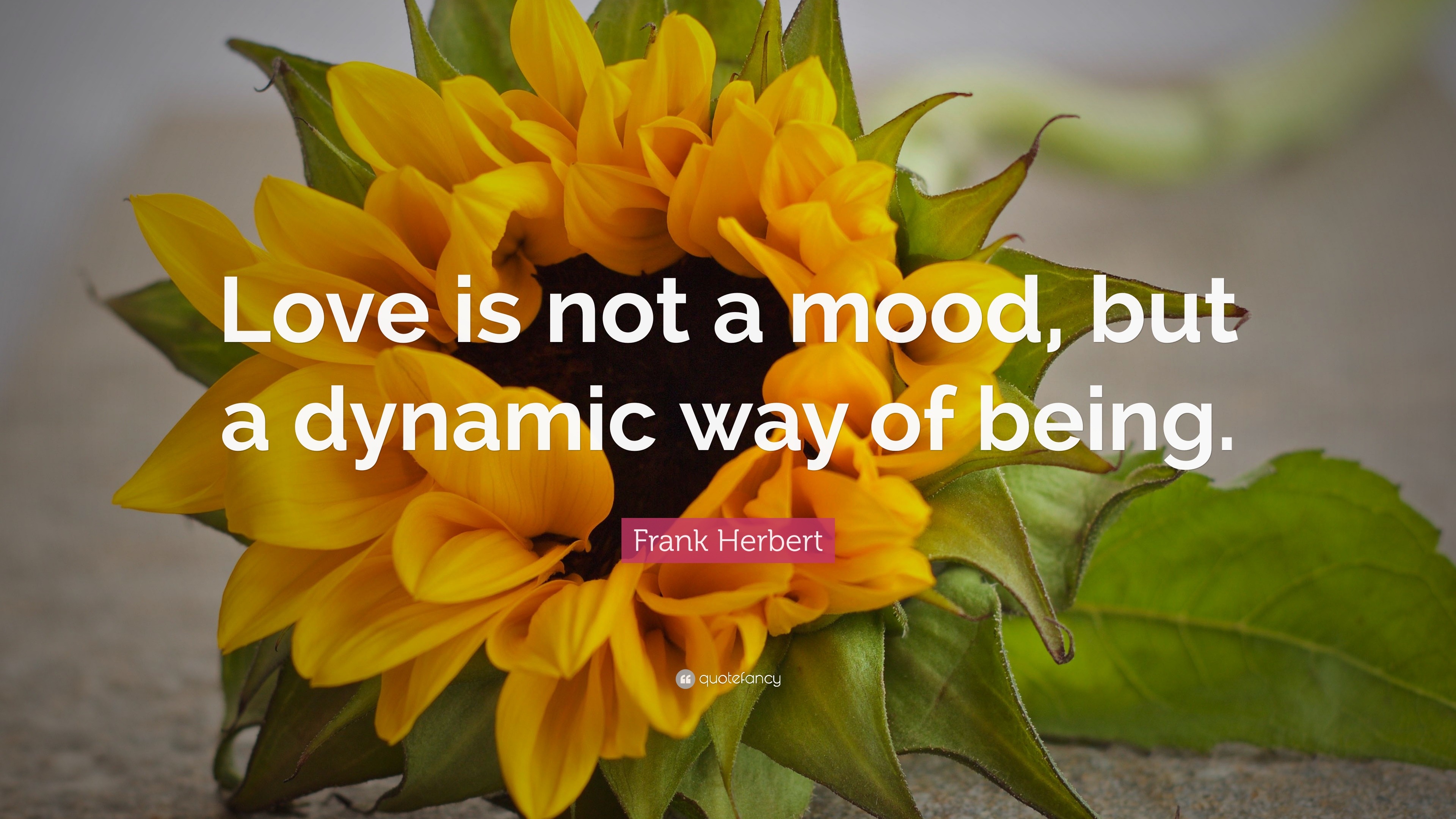 Frank Herbert Quote: “Love is not a mood, but a dynamic way of being.”